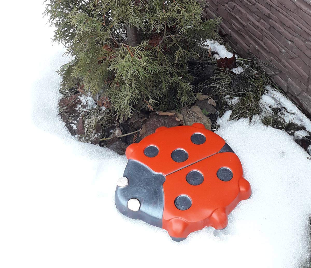 Ladybug Stepping Stone Molds DIY Stepping Stones: Transform Your