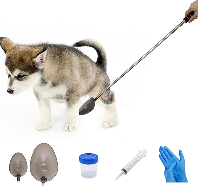 Pet Supplies : Dog Cat Urine Collector Reusable and Telescopic Dog ...