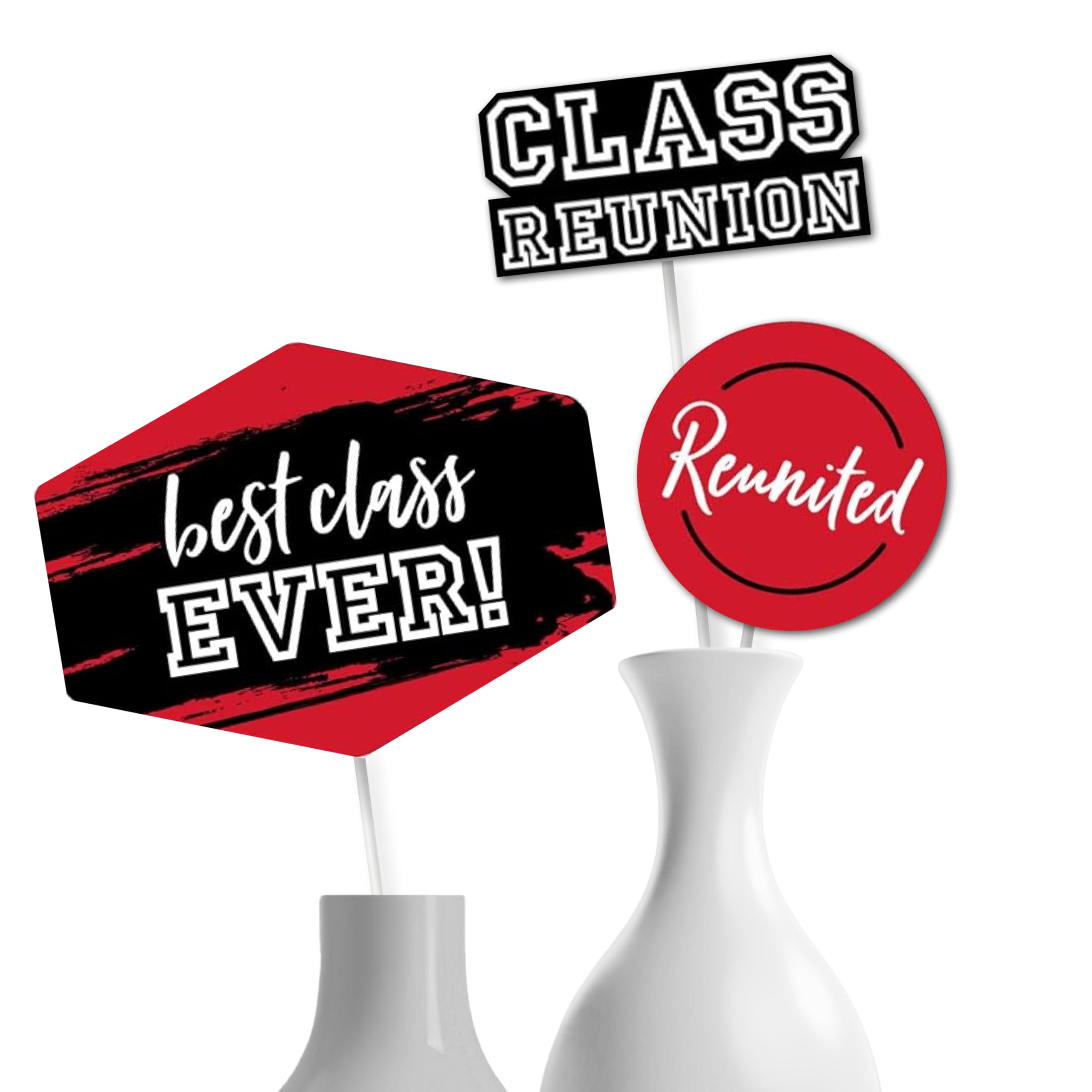 Amazon.com: Big Dot of Happiness Reunited Red - School Class Reunion ...