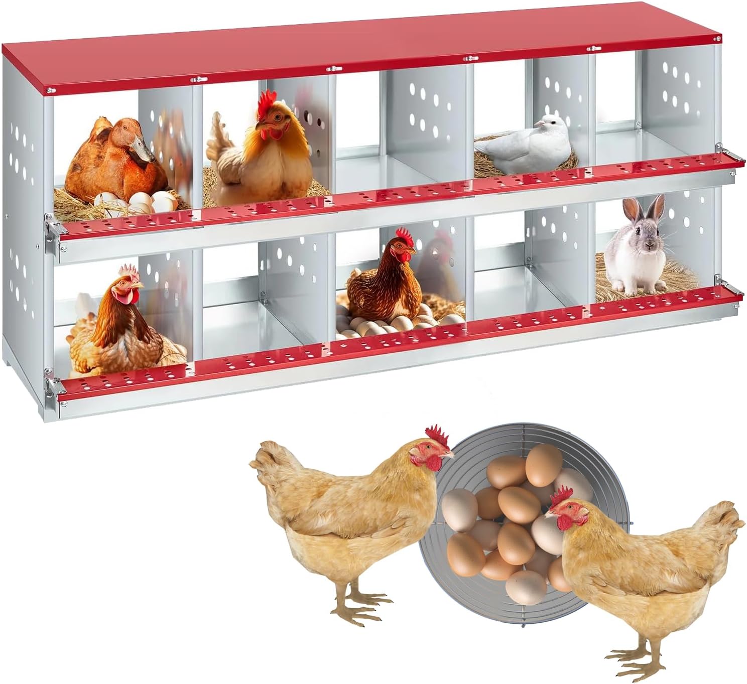 Amazon.com: Chicken Nesting Boxes with 10 Compartment-Wall Mount Roll ...