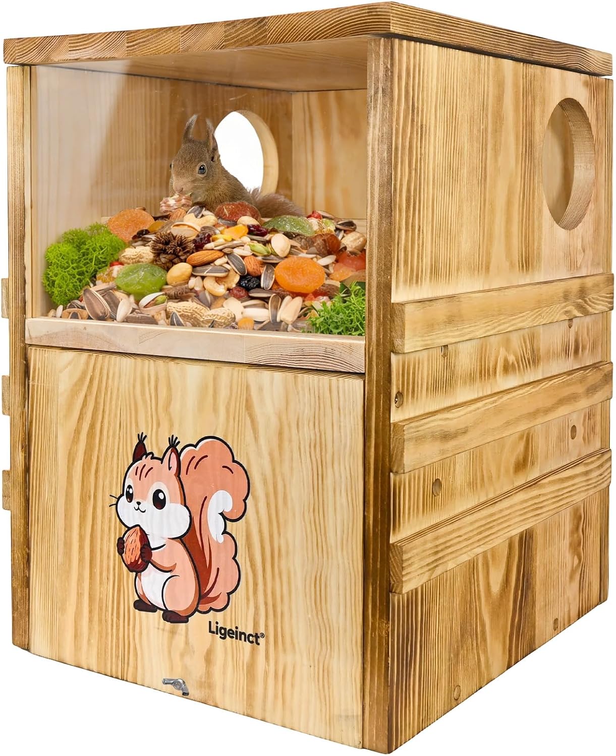 Amazon.com : Ligeinct Large Outdoor 2-in-1 Squirrel House and Feeder ...