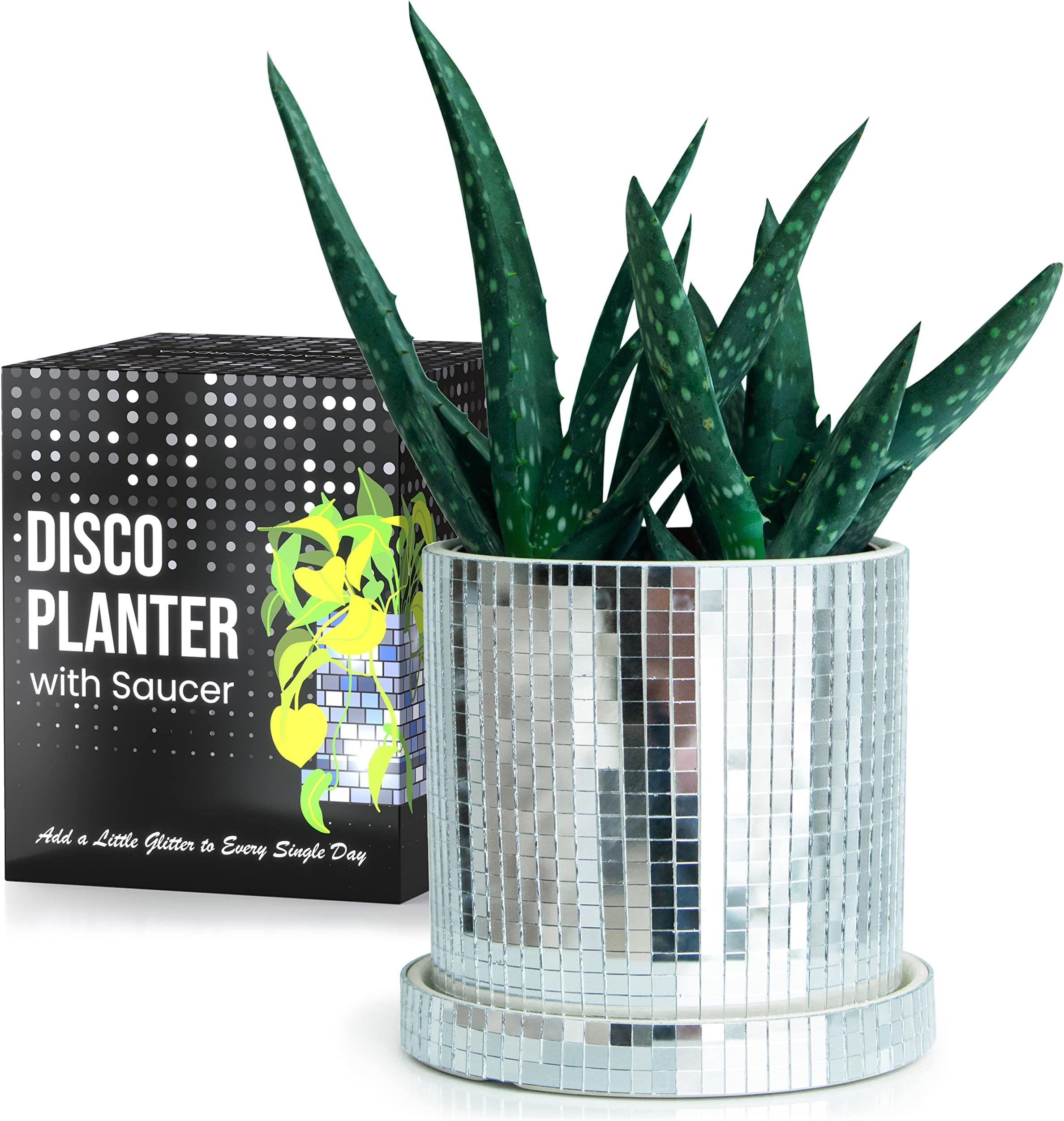 Amazon.com : Adnee 2Pcs Disco Ball Planter Pot, 4.8"+3.7" Disco Planter ...