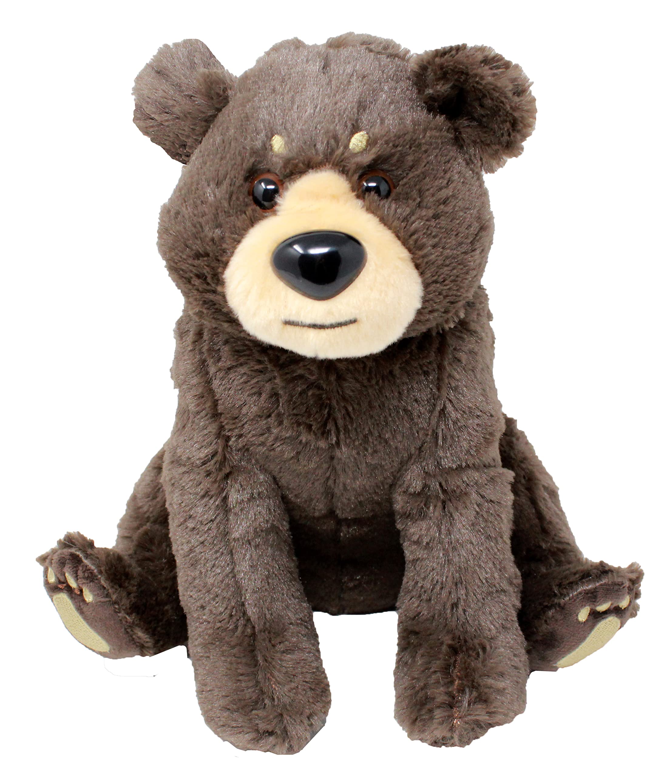 Real Bear