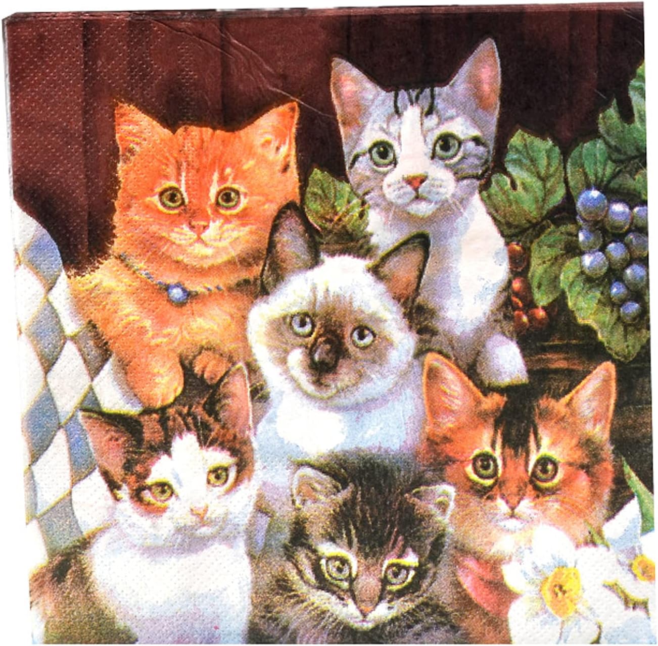 Amazon.com: WallyE Cat Paper Napkins, Pet Animal Theme Shabby Chic ...