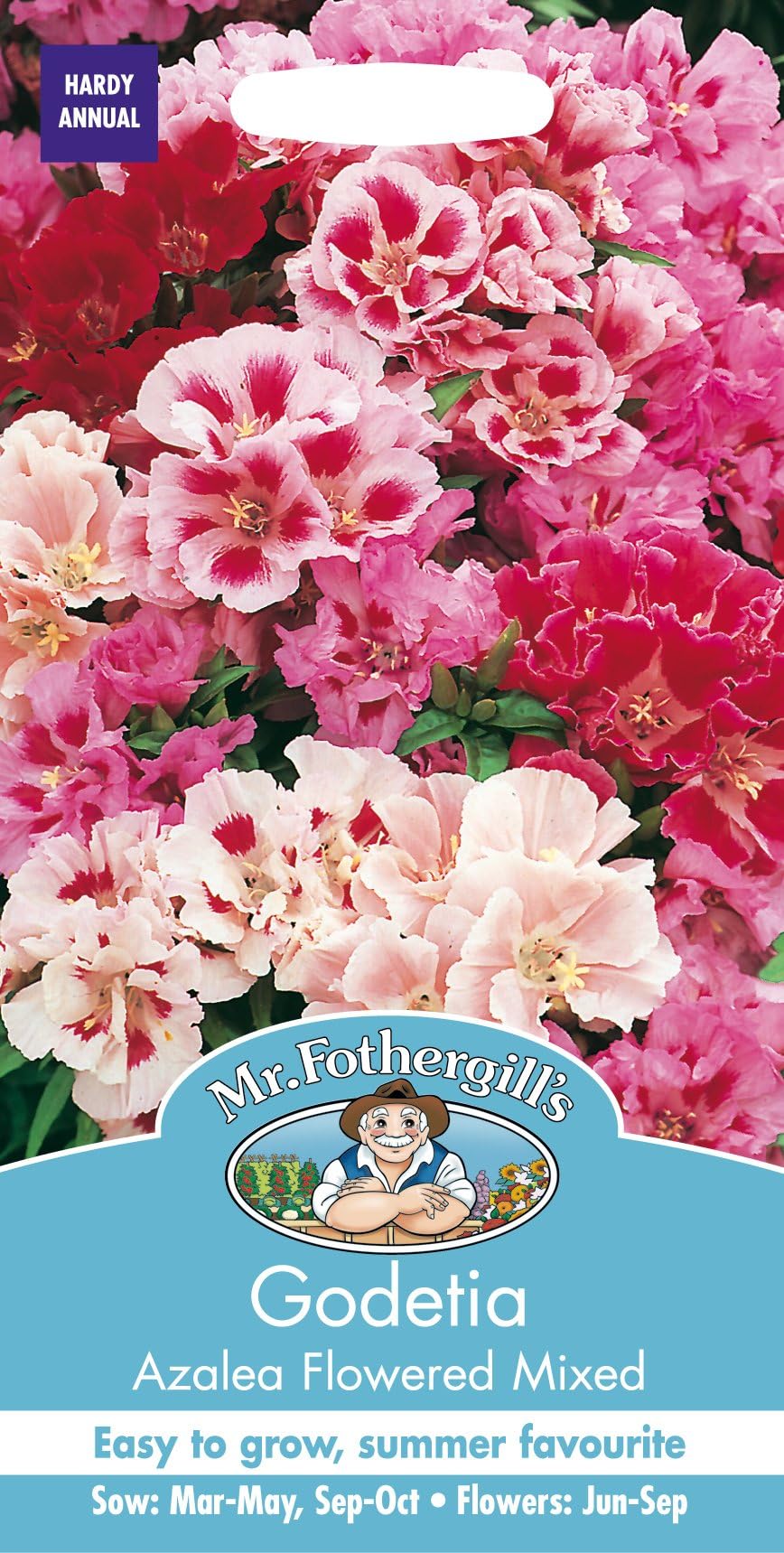 Dwarf Godetia Monarch Mix - Clarkia Amoena - 2000 Seeds + Plant tag ...