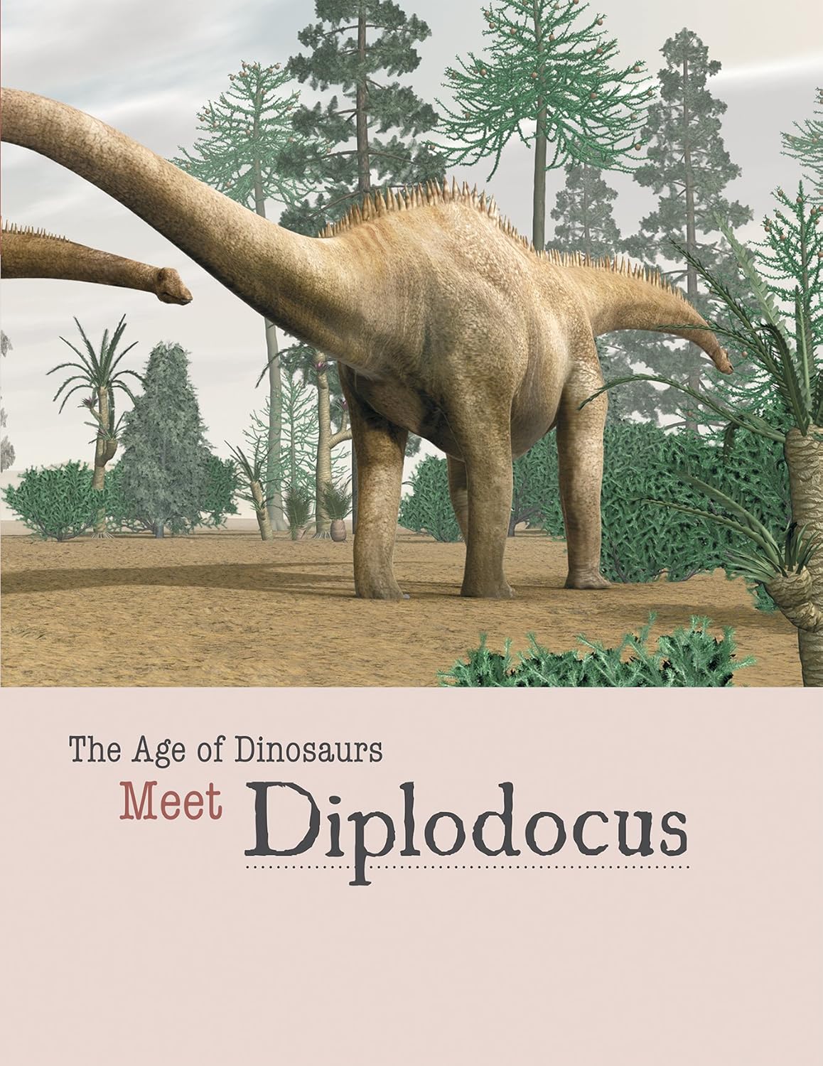 Meet Diplodocus (Age of Dinosaurs): Knight, Sheryn, Calvetti, Leonello ...