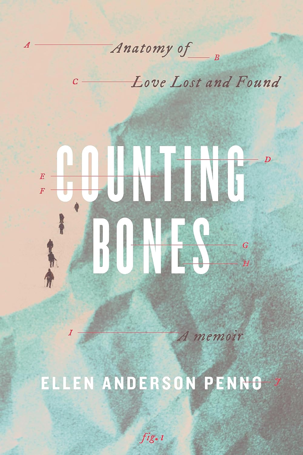 Counting Bones: Anatomy of Love Lost and Found: Anderson Penno, Ellen ...