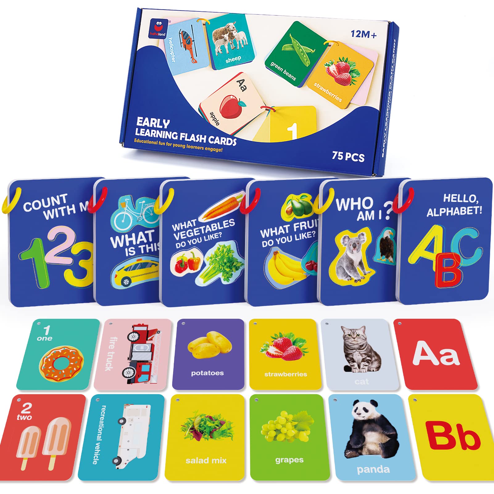 Flashcards For 1-2 Year Olds at Carlo Simmons blog