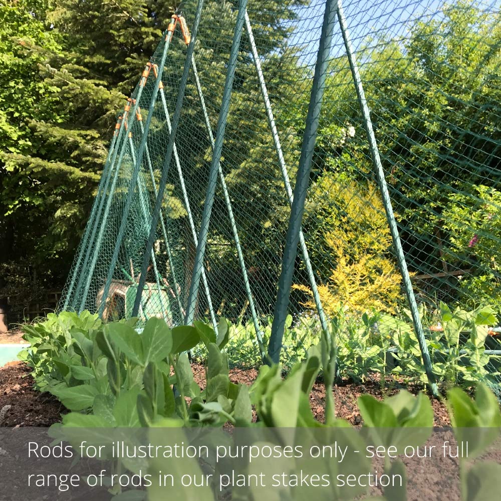 Biodynamic Pea Trellises