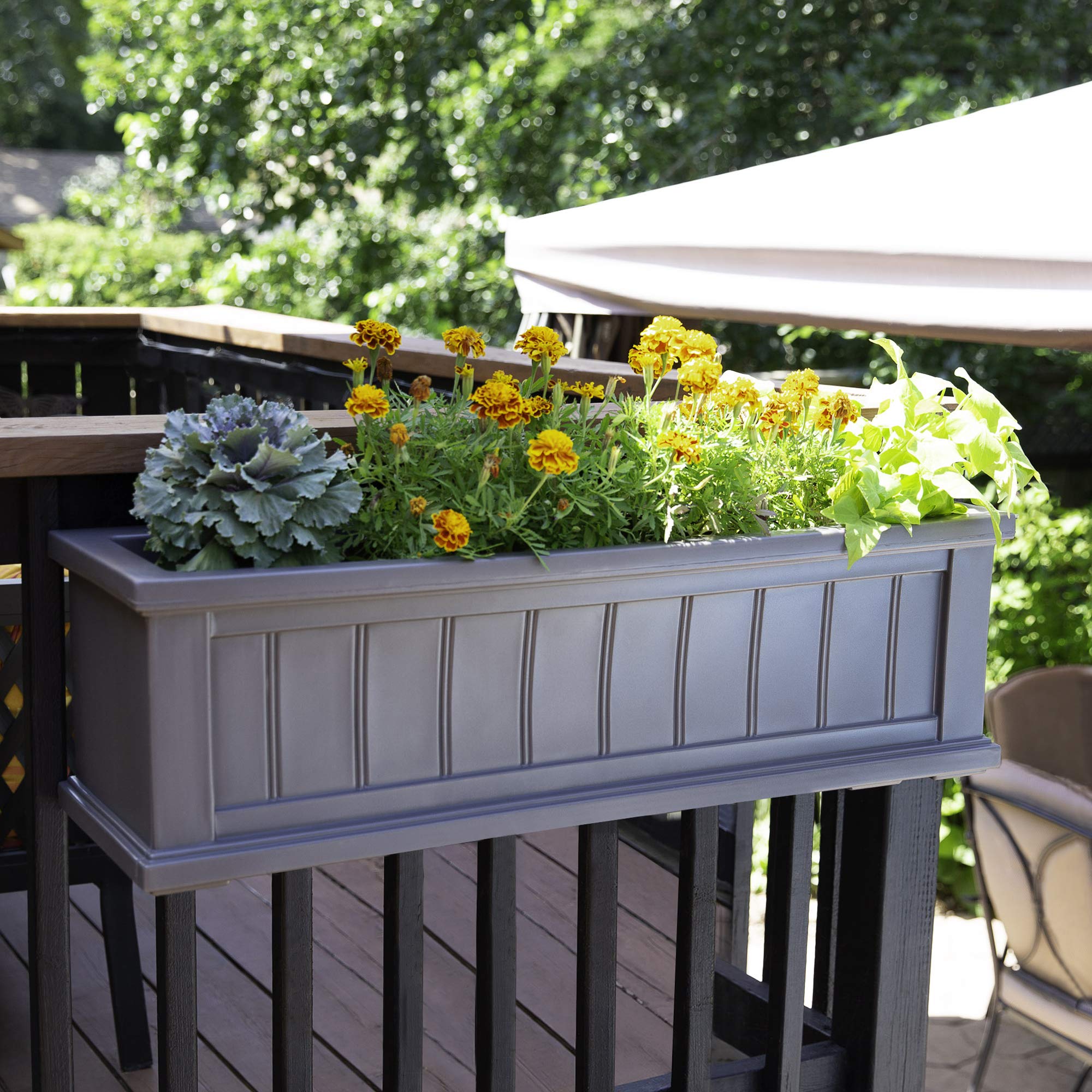 Mayne Cape Cod 3ft Window Box - Graphite Grey - 36in x 11in x 10.8in ...
