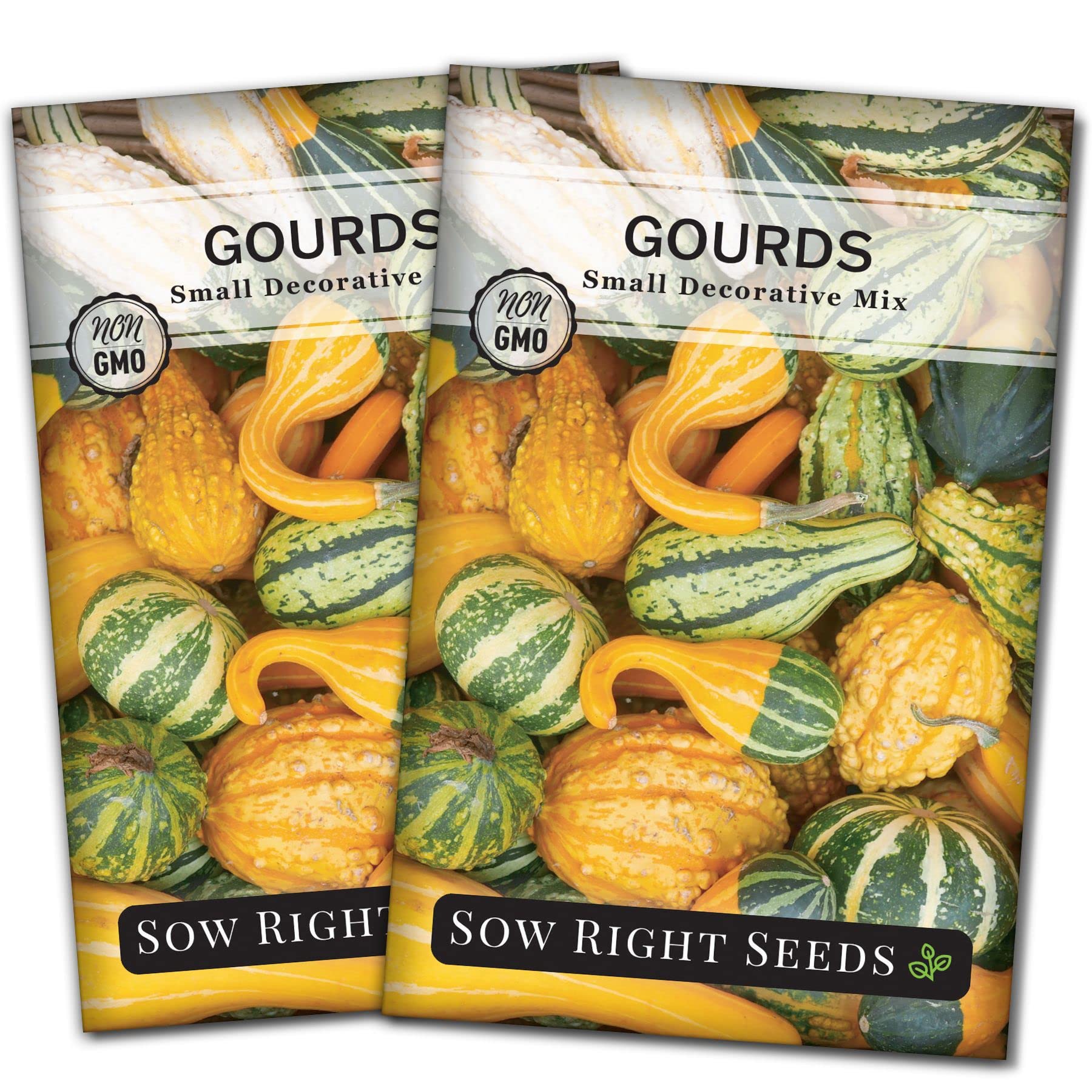 Amazon.com : Sow Right Seeds - Decorative Small Gourds Mix Seed for ...