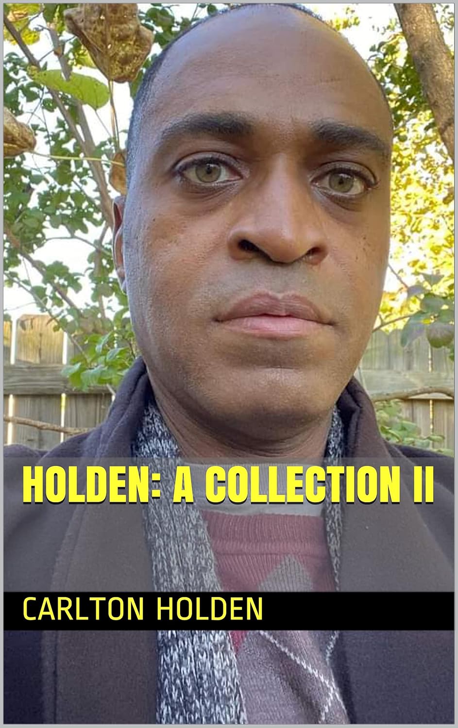 Amazon.com: Holden: A Collection II eBook : Holden , Carlton : Kindle Store