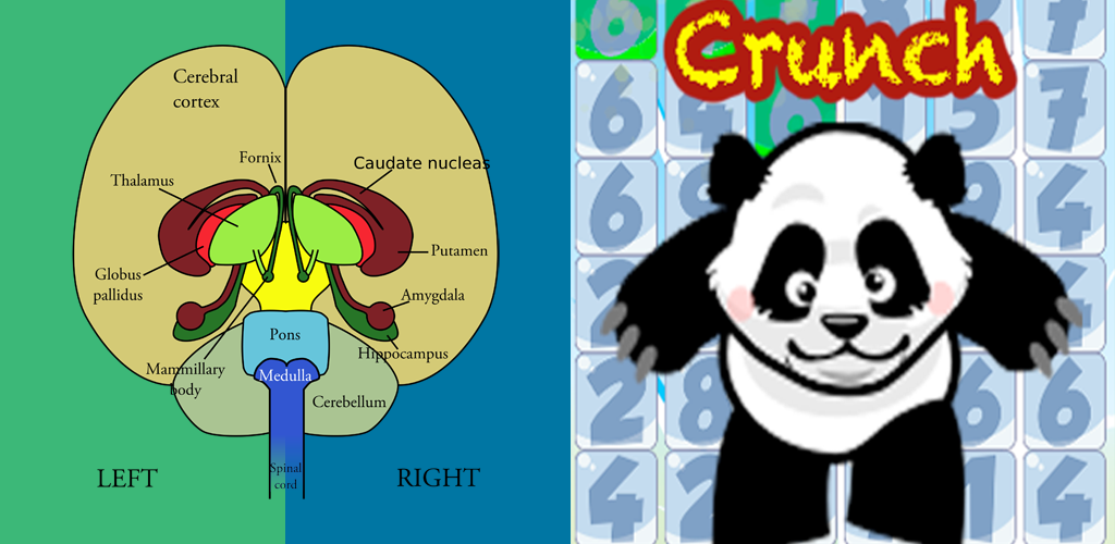 Mind Crunch - App on Amazon Appstore