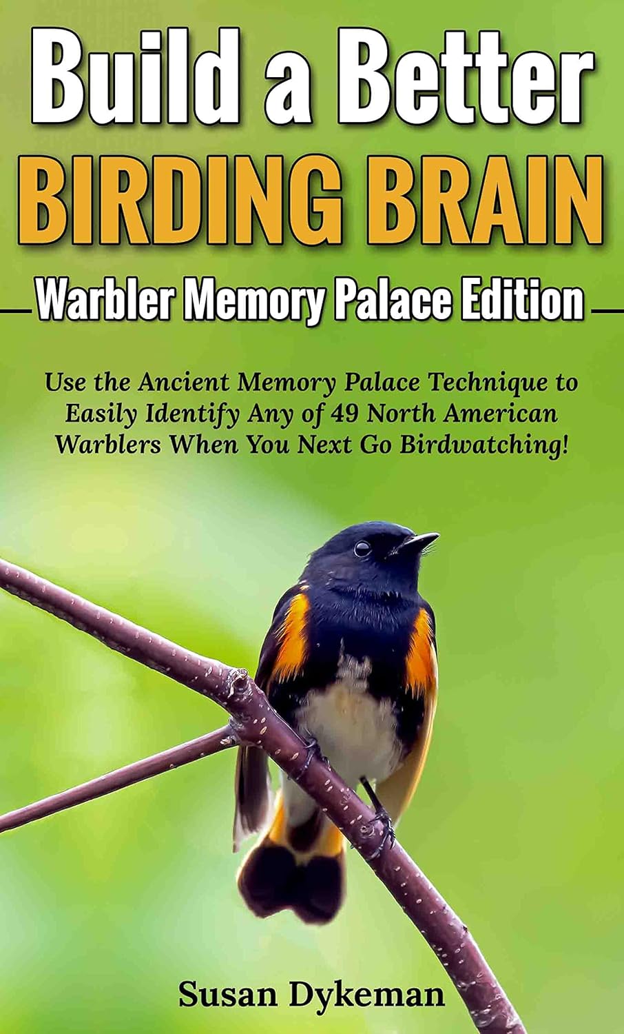 Amazon.com: Build a Better Birding Brain Warbler Memory Palace Edition ...