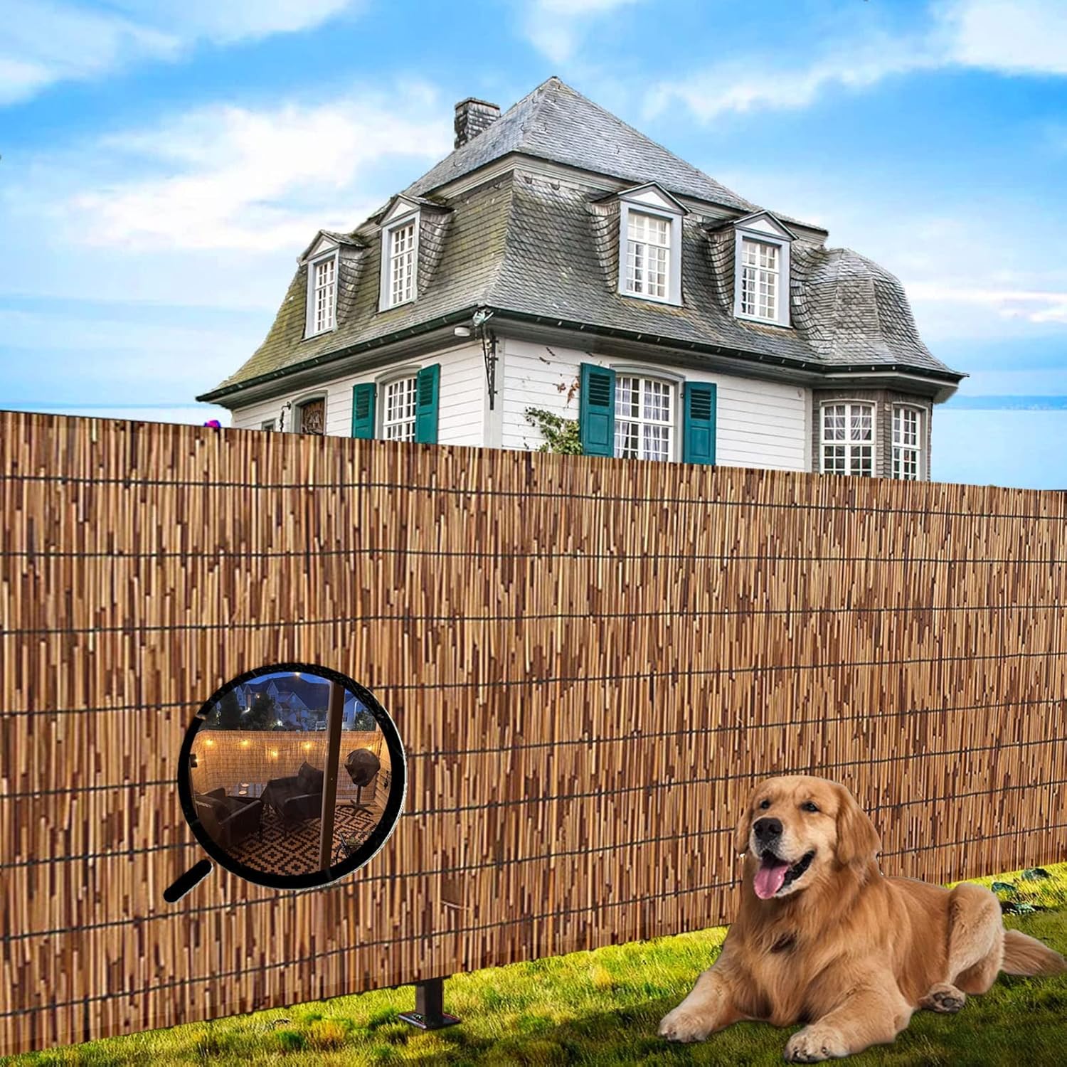 Amazon.com: Reed Screening Privacy, Bamboo Reed Fence Rolls 2 3 4 5 6 ...