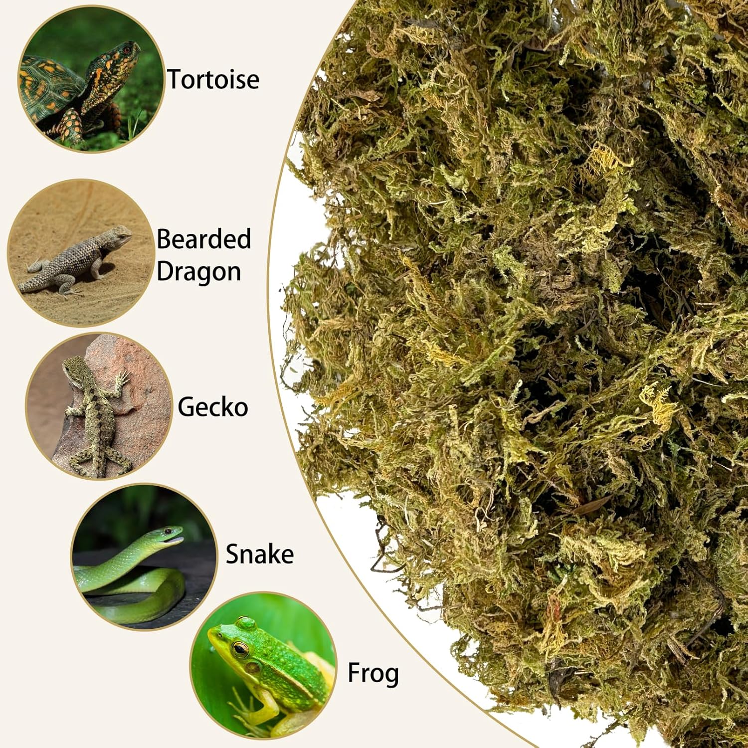 kathson Musgo Sphagnum para reptiles, musgo seco natural de 17.5 onzas ...