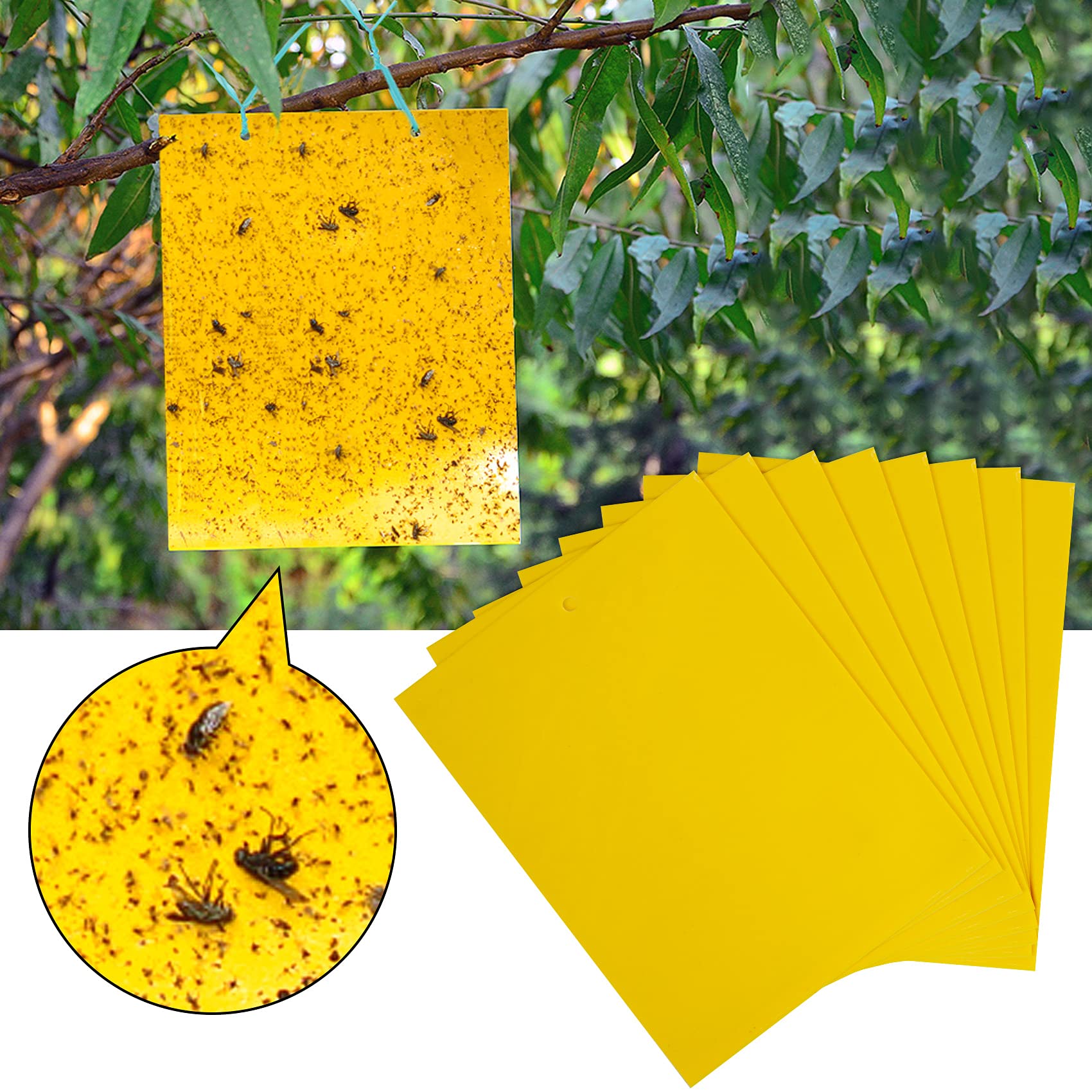 Buy 30 Pack Yellow Sticky Traps for Gnats Fruit Fly Traps for Indoors ...