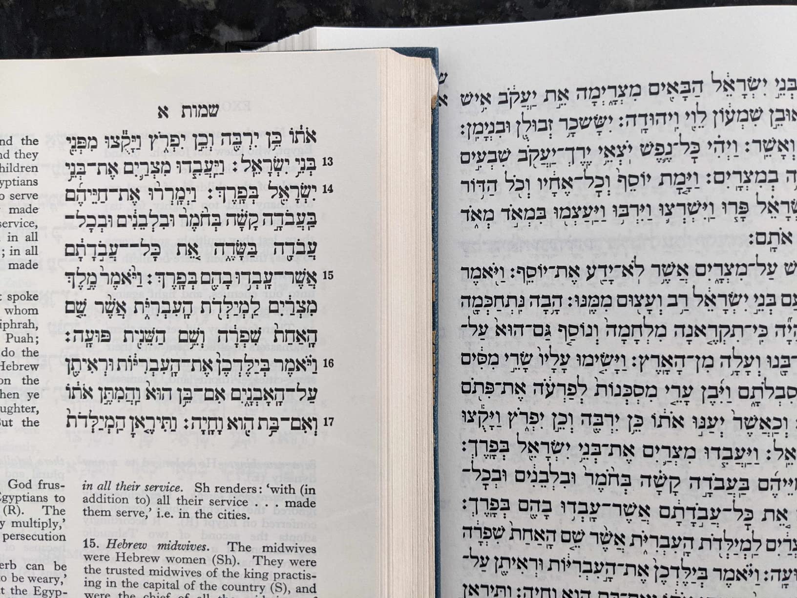 The Torah: Five Books of Moses Large Type Edition All Hebrew(5 Volumes ...