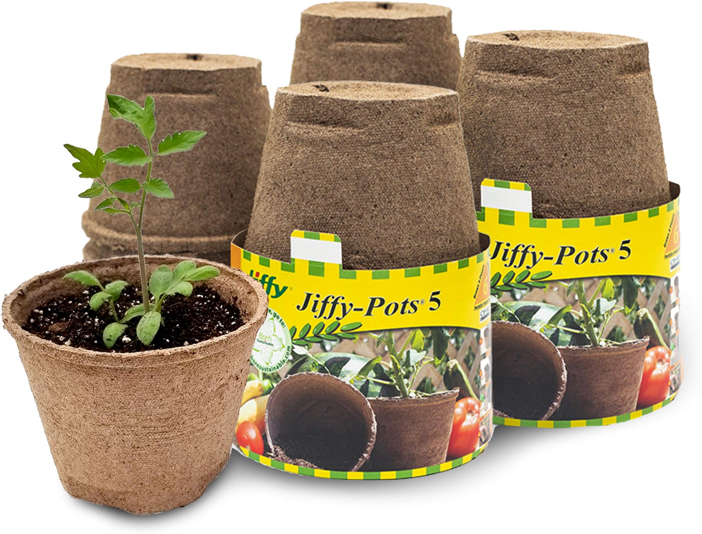 Amazon.com: Garden Depot Biodegradable Peat Pots Set (60 Pots) : Patio ...