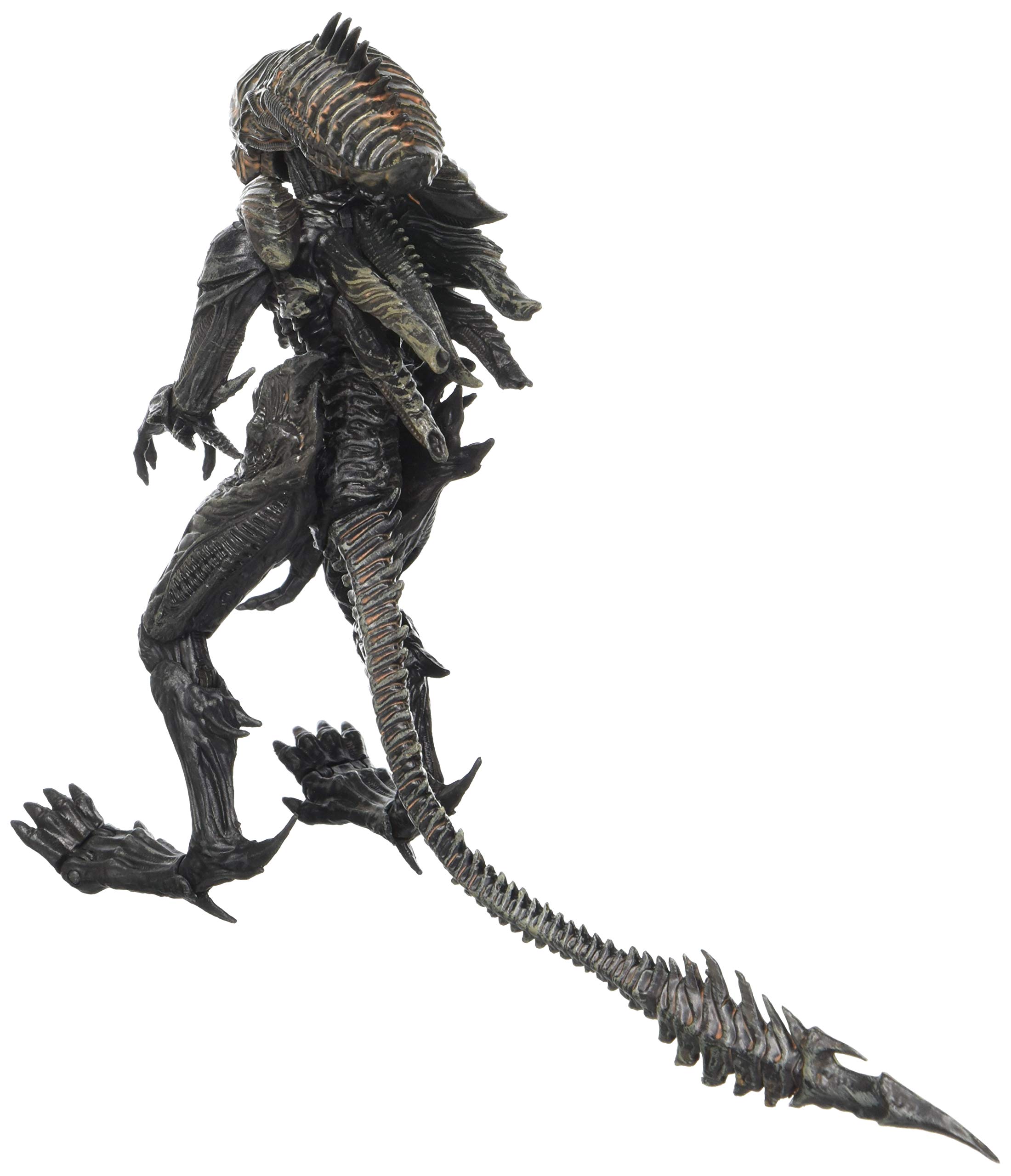Buy Hiya Toys Aliens: Colonial Marines: Xenomorph Raven 1: 18 Scale ...