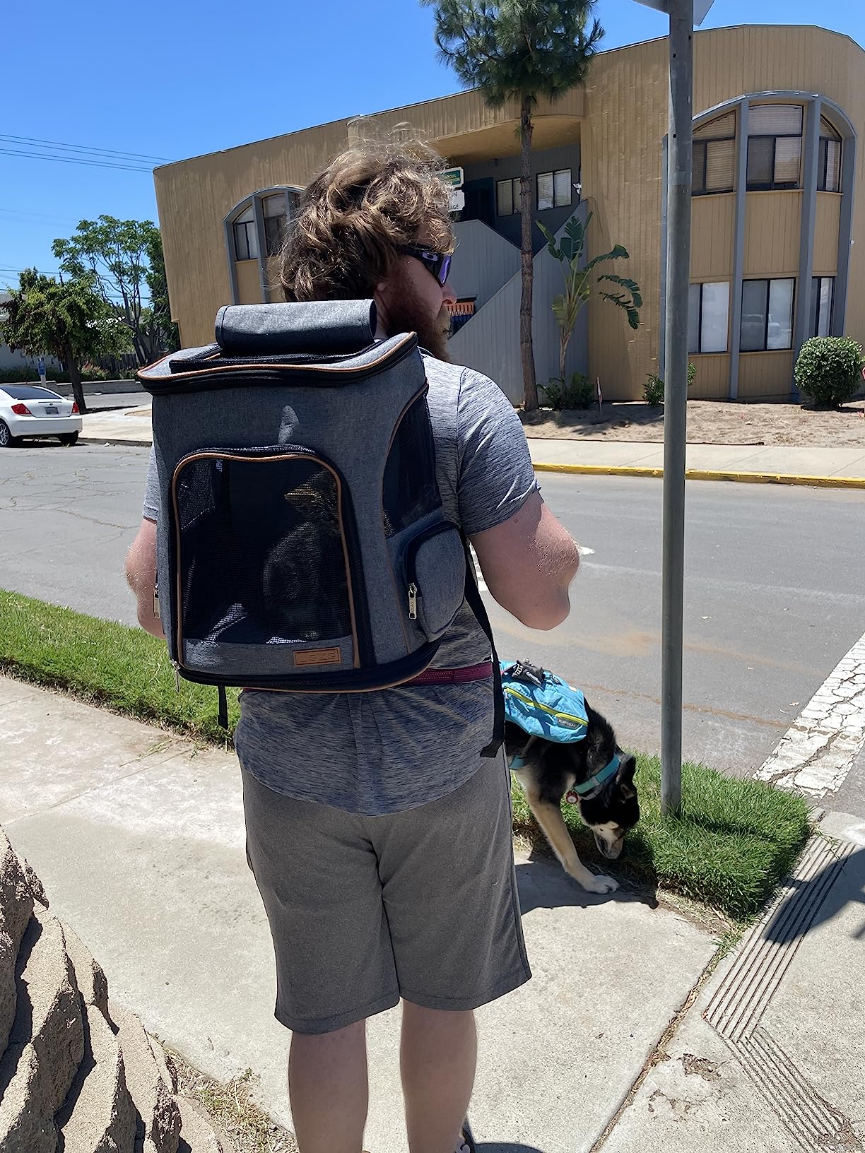 $9/mo - Finance Lekereise Dog Backpack with Wheels for Small Cats and ...