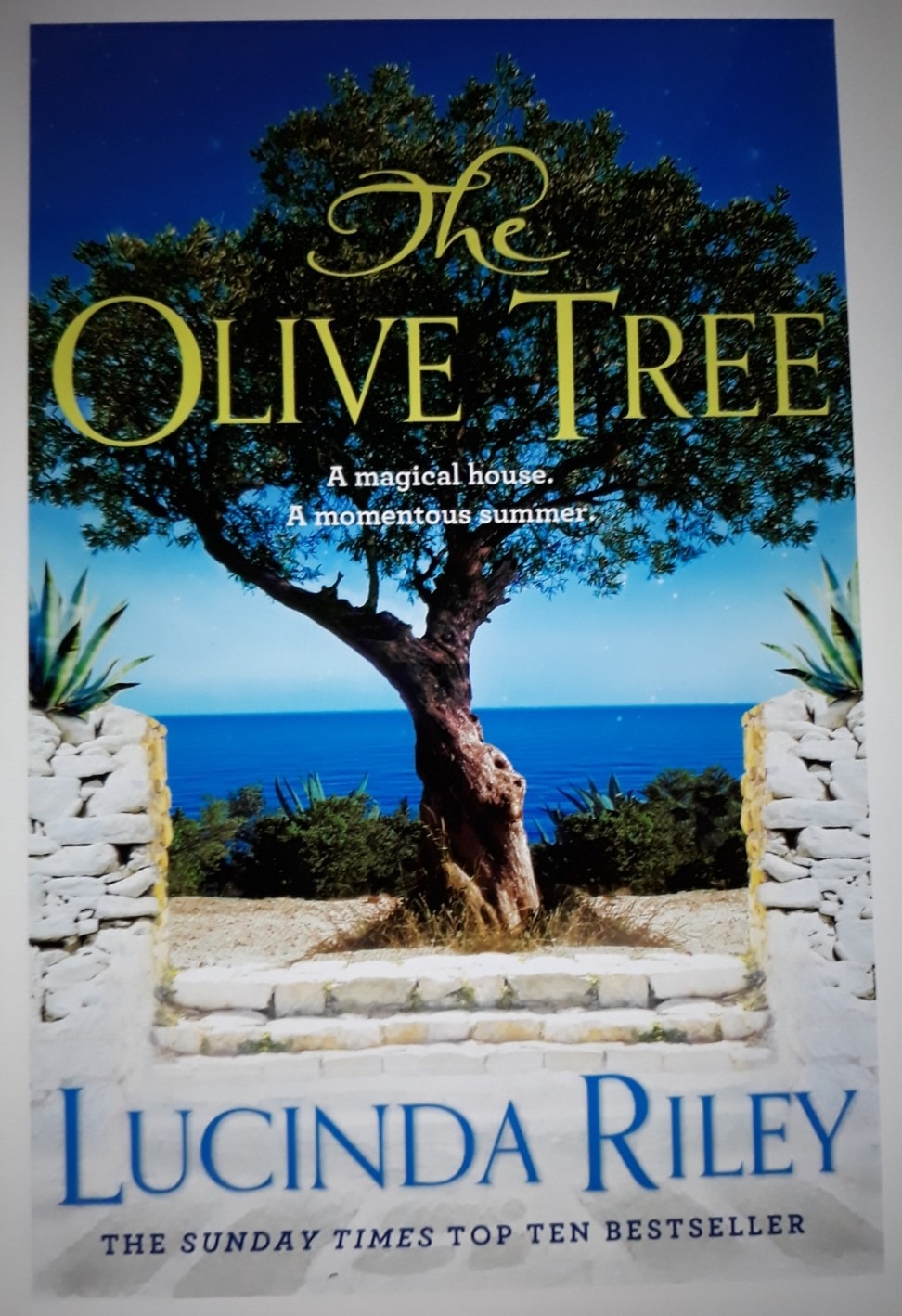 The Olive Tree: The bestselling story of secrets and love under the ...