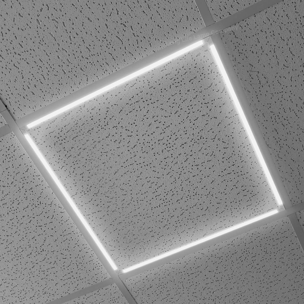 Buy Long Life Lamp Company 40w Edge Lit LED Panel 600 x 600 Recessed ...