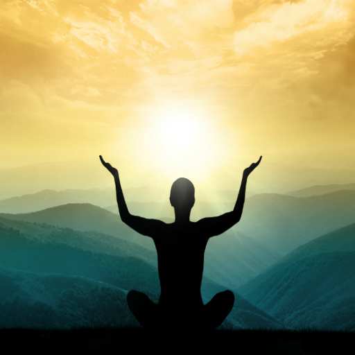 Zen TV - App on Amazon Appstore