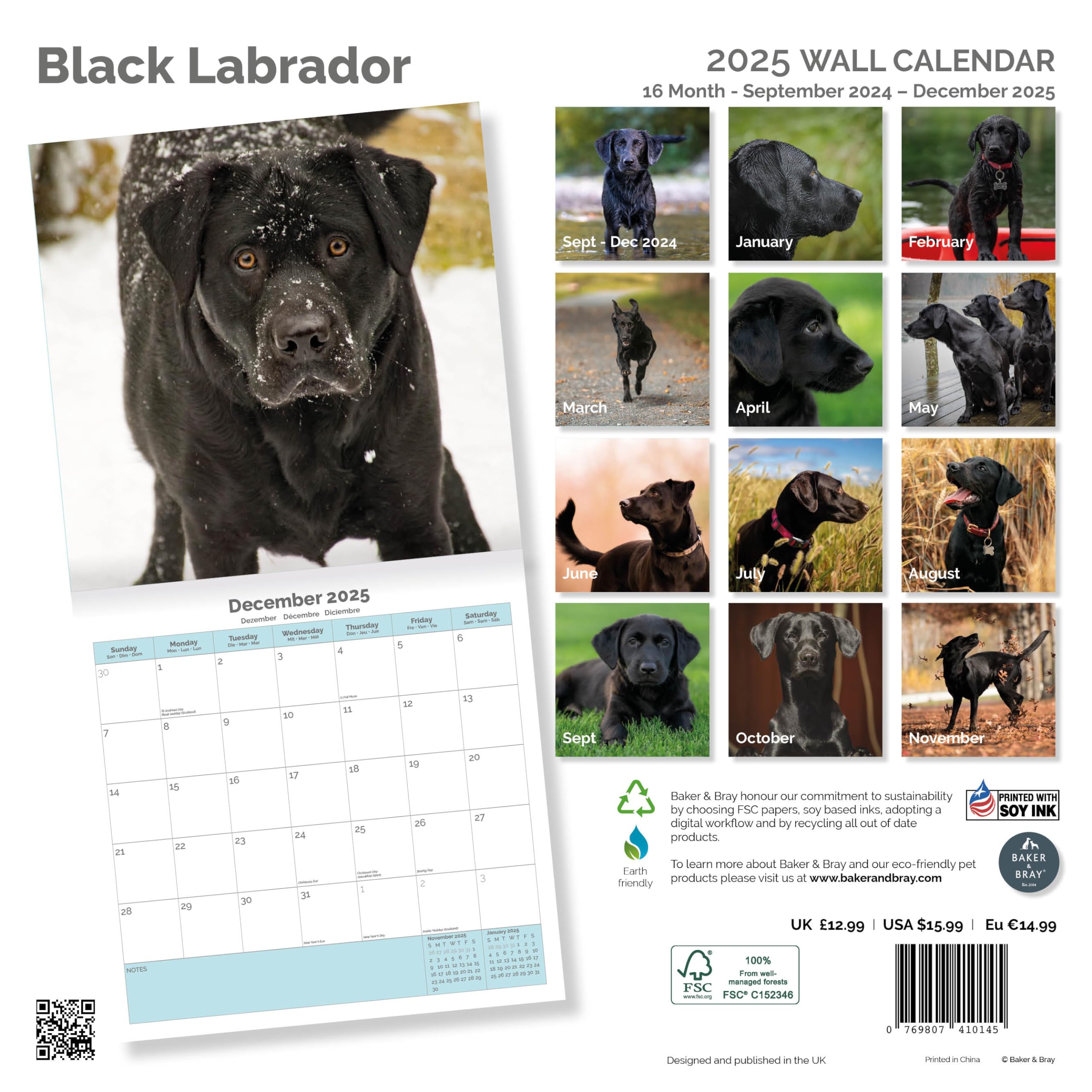 Baker and Bray Black Lab Calendar 2025, Large Square Wall Calendar, 16 ...