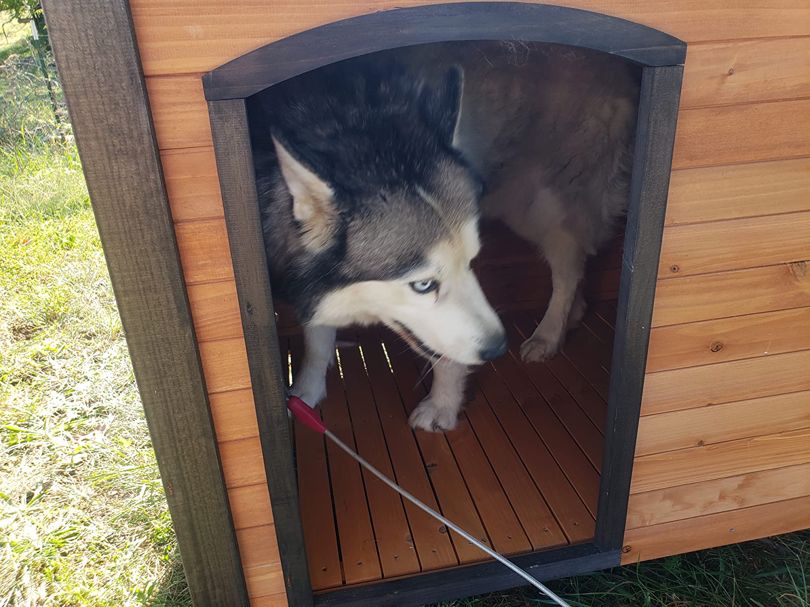$34/mo - Finance Petmate Precision Extreme Outback Log Cabin Dog House ...