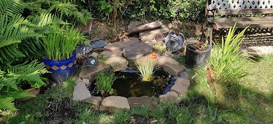 primrose.co.uk Bermuda Cove Pre Formed Pond 84cm x 64cm / Pond Liner ...