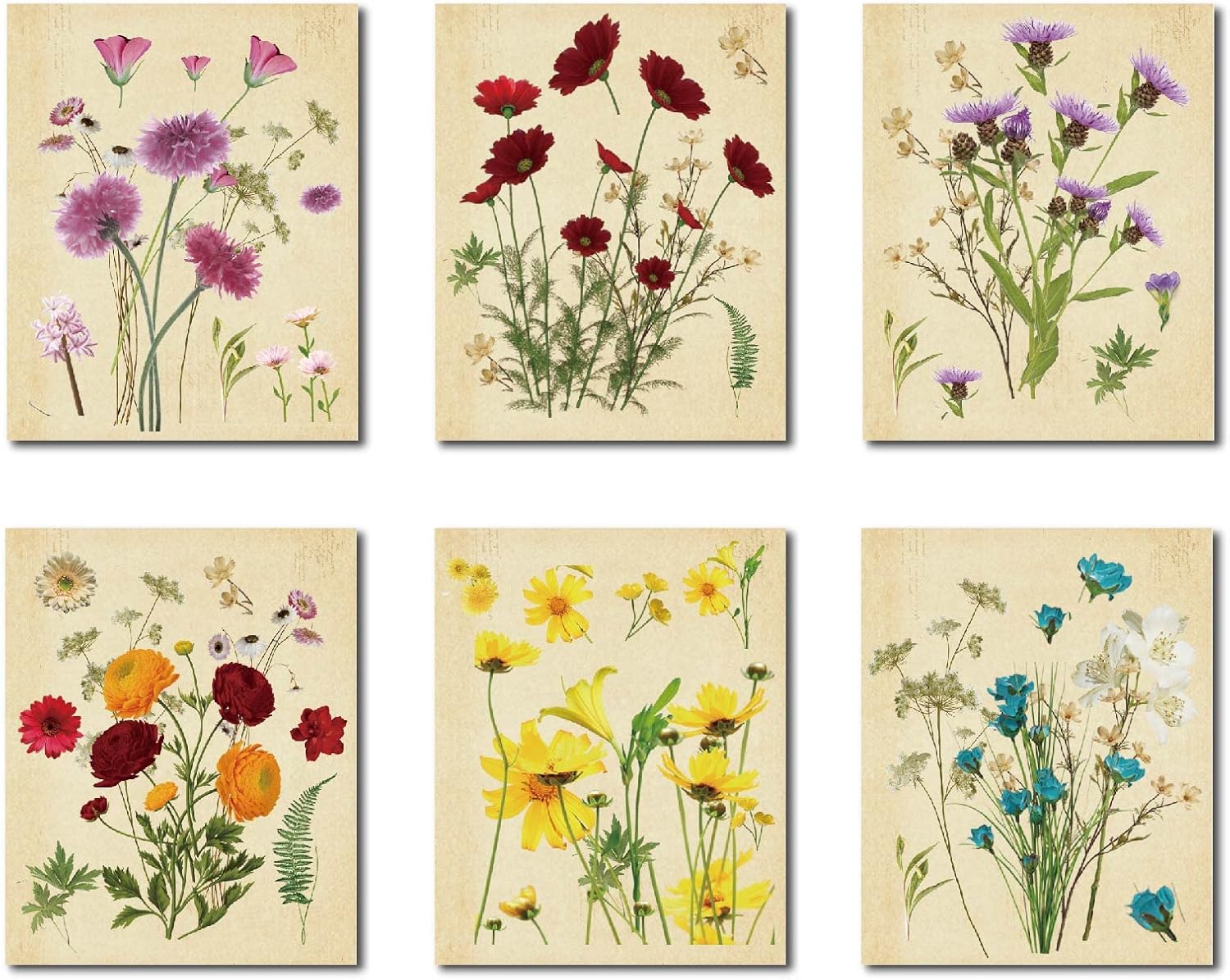 Amazon.com: CREATCABIN Wildflower Wall Art Poster Floral Prints ...
