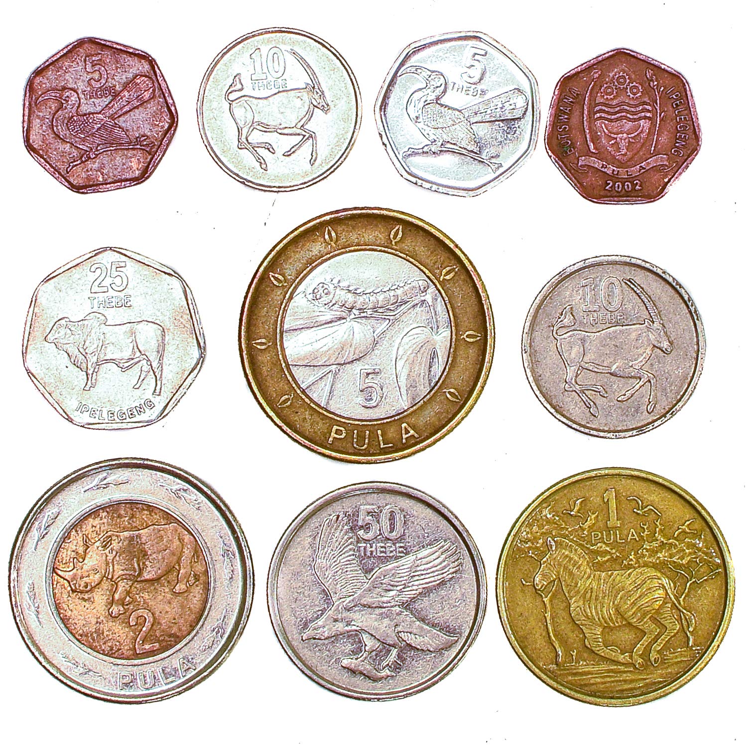 10 Botswana Coins 5 Thebe 5 Pula Old Coins Collection | Desertcart INDIA