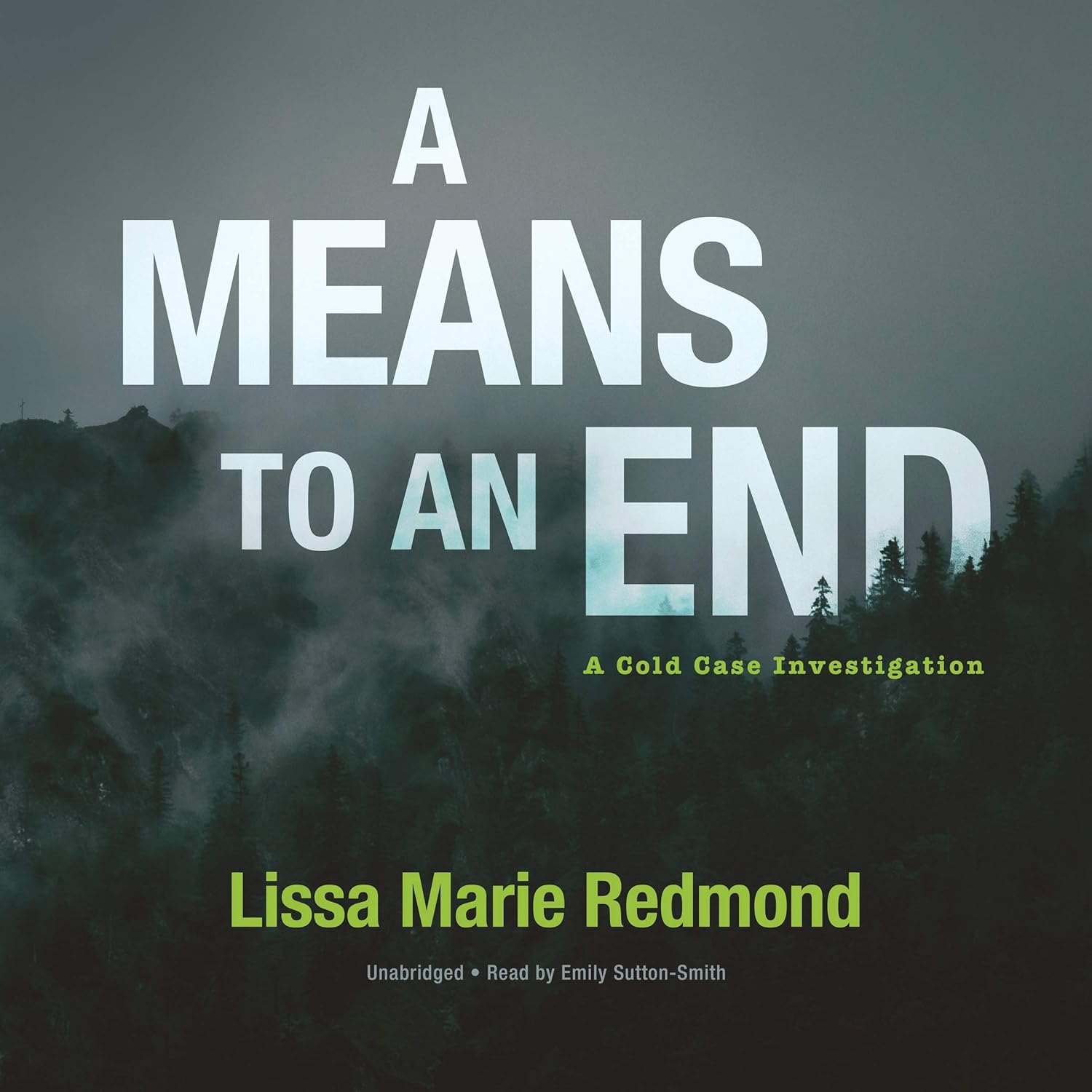 A Means to an End (Cold Case Investigation): Redmond, Lissa Marie ...