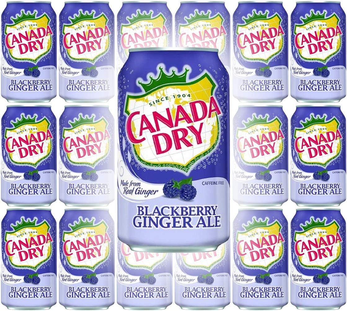 Amazon.com : Schweppes Raspberry Ginger Ale - Refreshing, Crisp ...