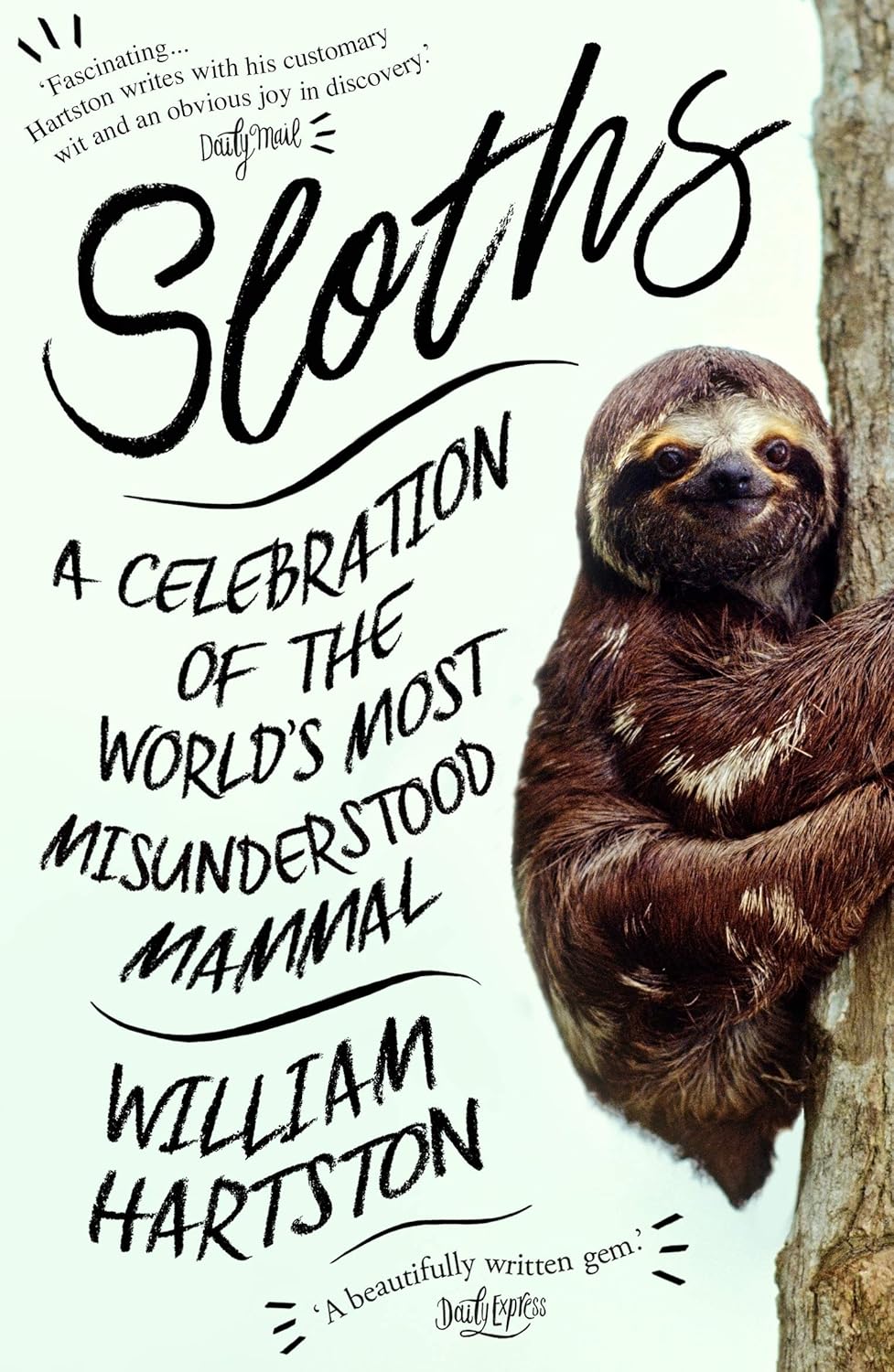 Sloths: A Celebration of the World’s Most Misunderstood Mammal ...