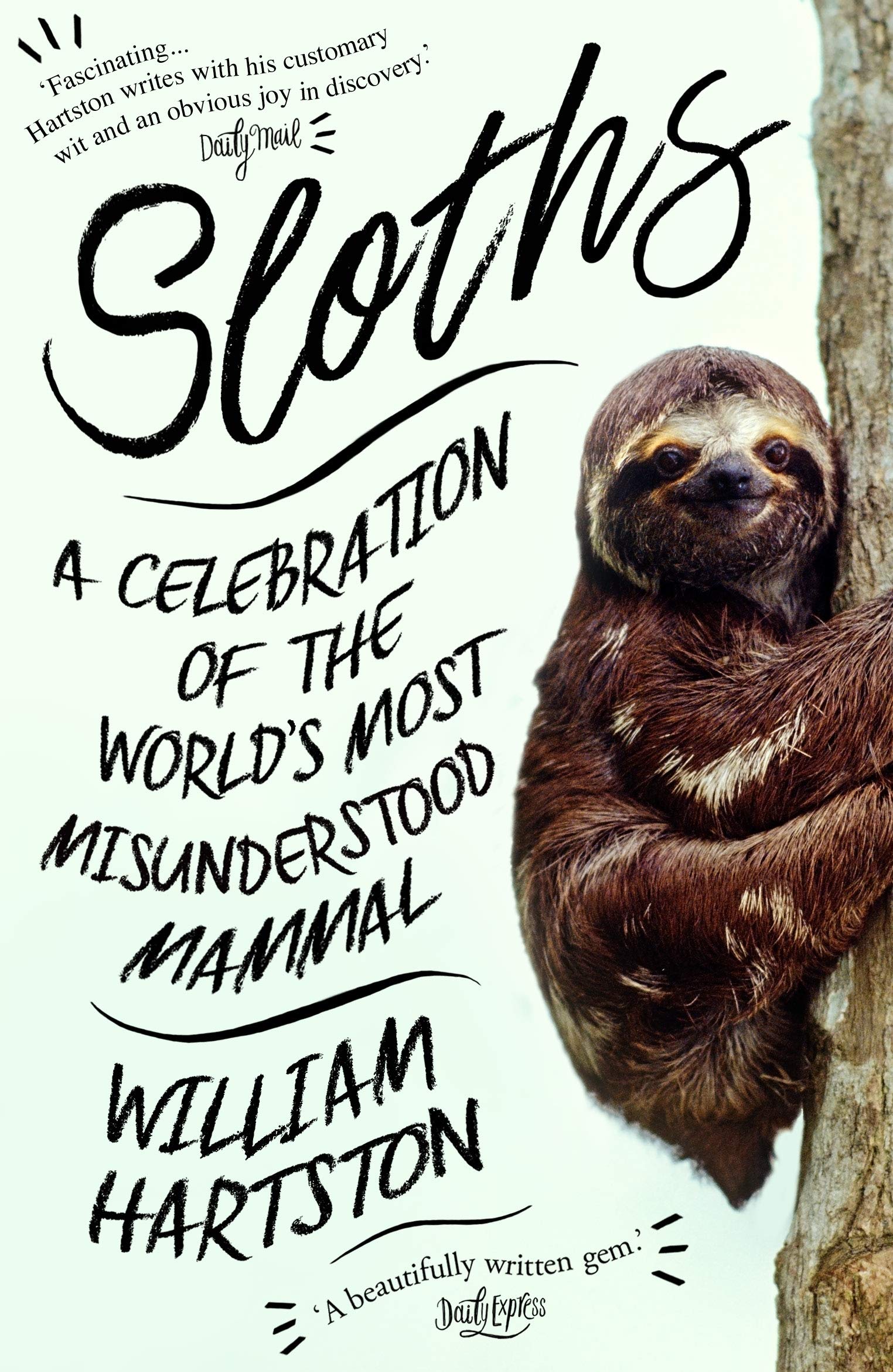 Sloths: A Celebration of the World’s Most Misunderstood Mammal ...