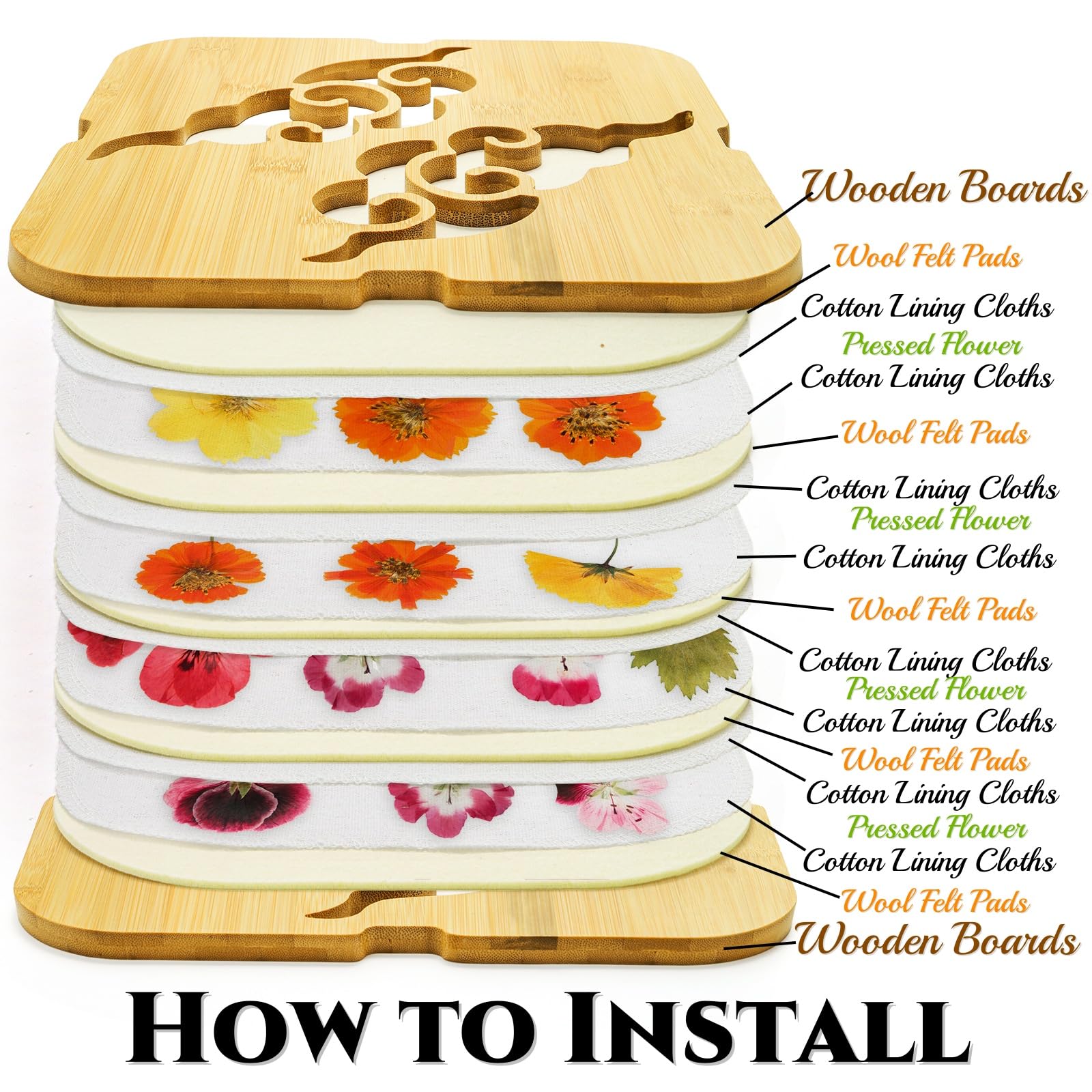 Snapklik.com : Noamus 25Pcs 4 Layers Microwave Flower Press Kit, 11" X ...