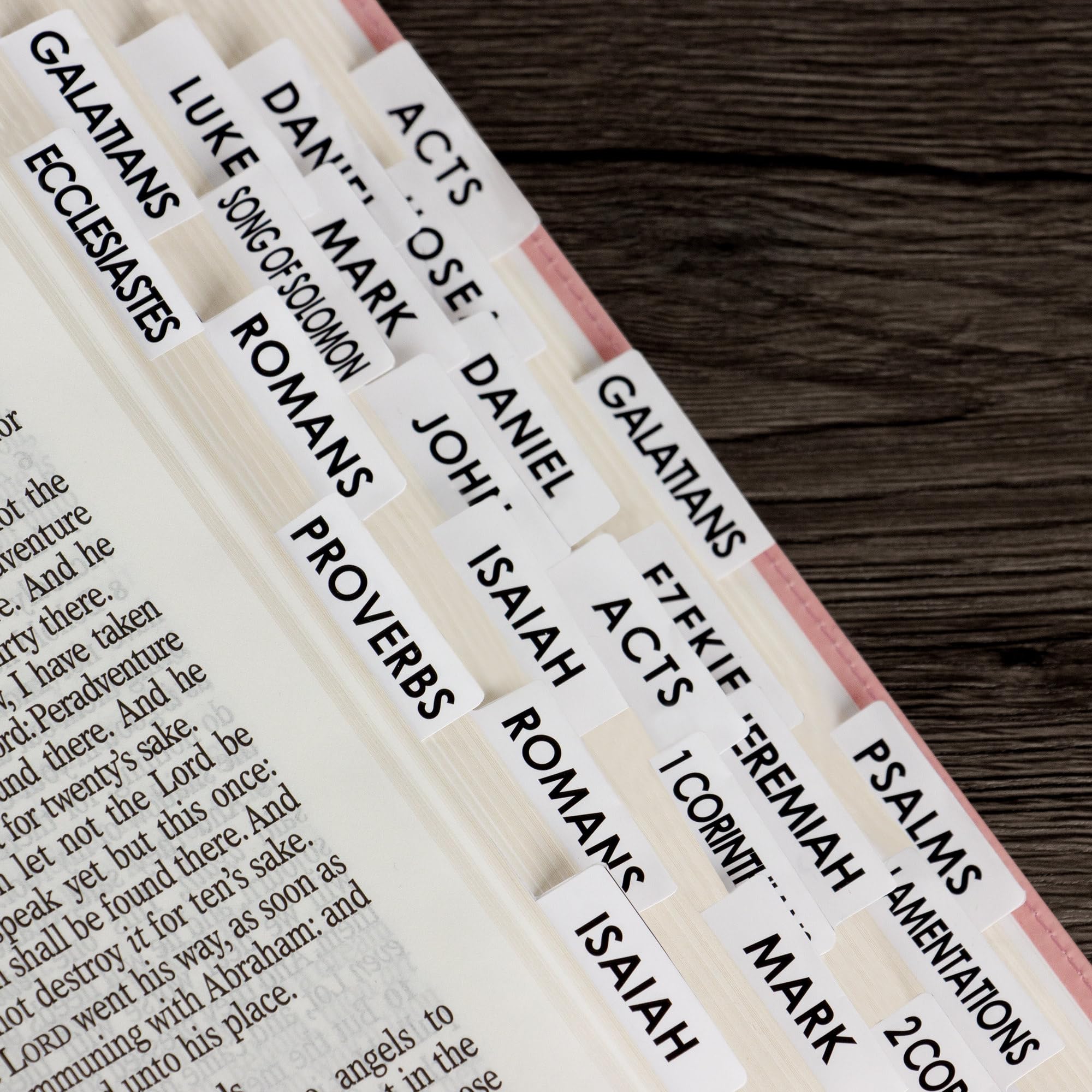 Amazon.com: 192 Pcs Laminated Bible Tabs for Study Bible, New & Old ...