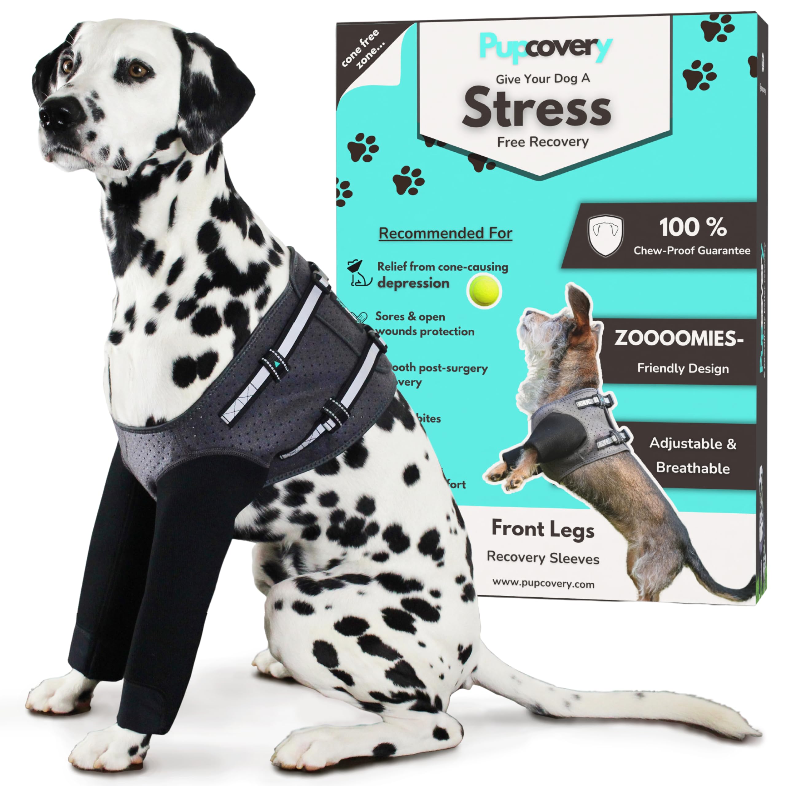 Amazon.com : Dog Cone Alternative - Hot Spot Recovery Sleeves, Wound ...