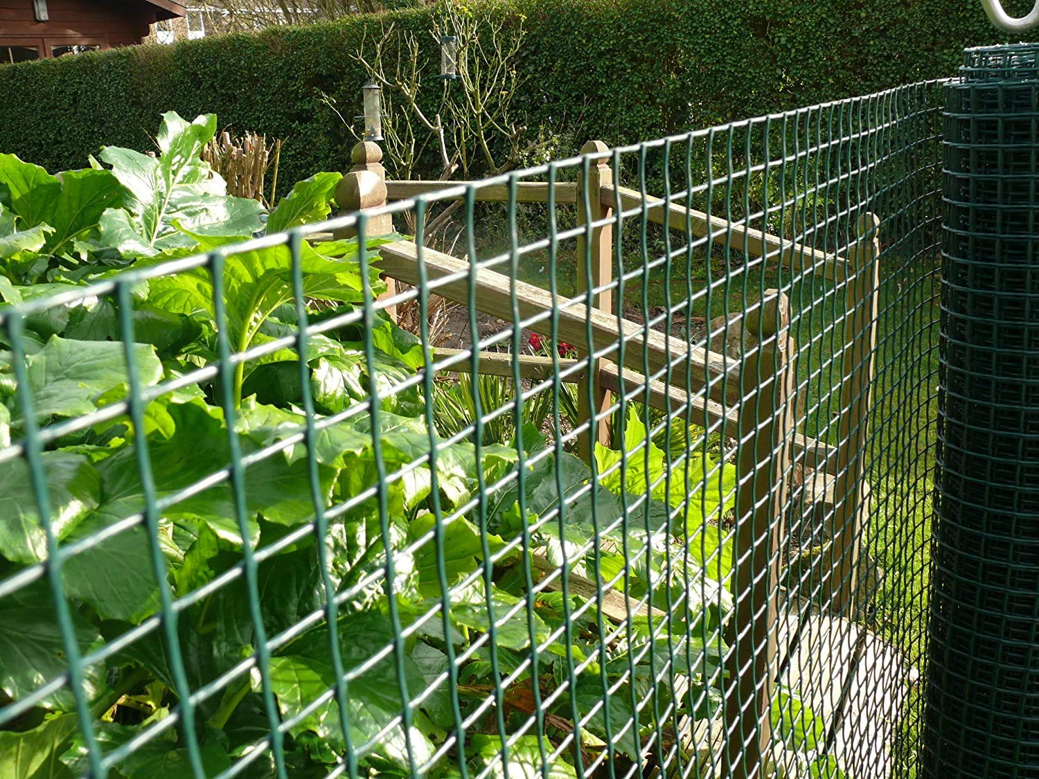 Vegetable Garden Fence Nets Wind Protection For Plants: 10 Tips To
