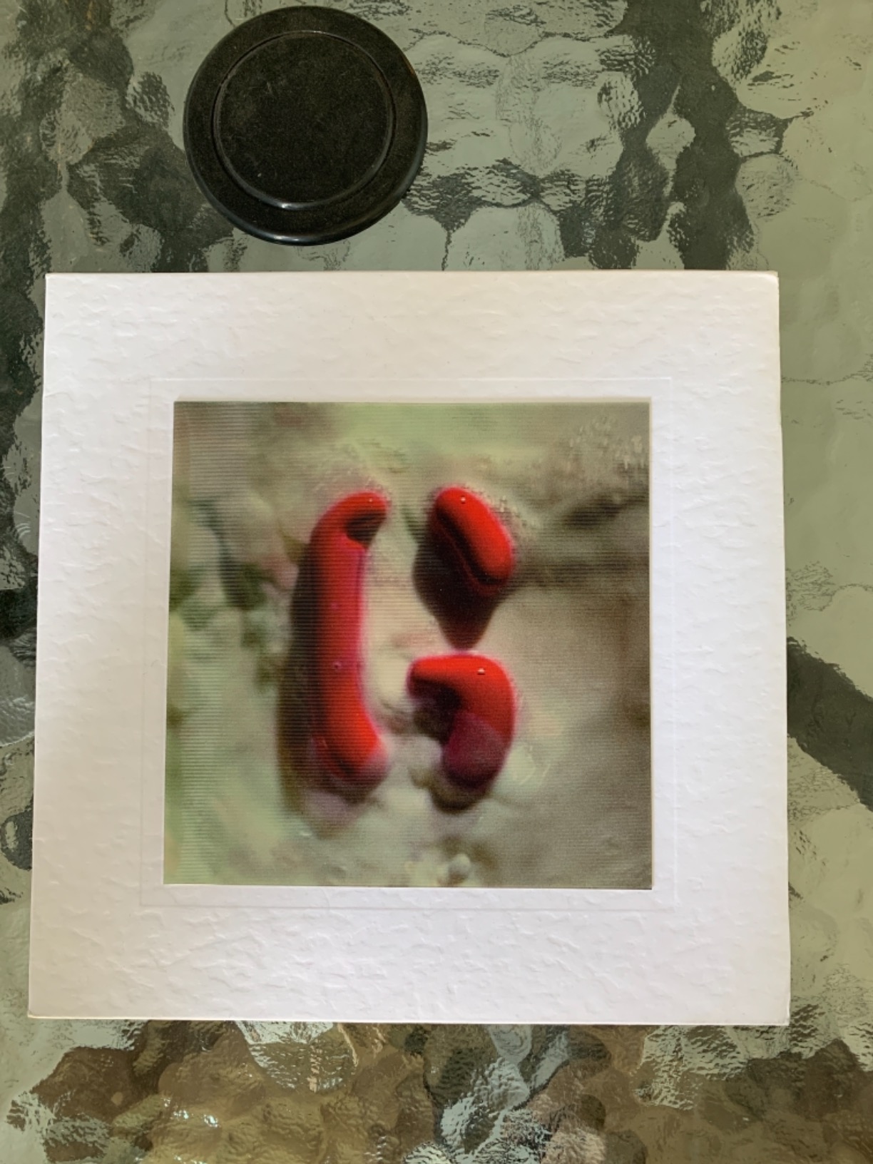 Amazon.com: When I Grow Up: CDs & Vinyl