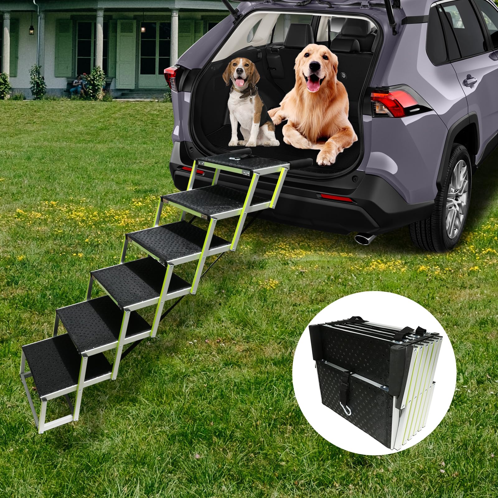 Amazon.com : PENSUN Dog Ramps for Small & Big Dogs Portable Folding Pet ...
