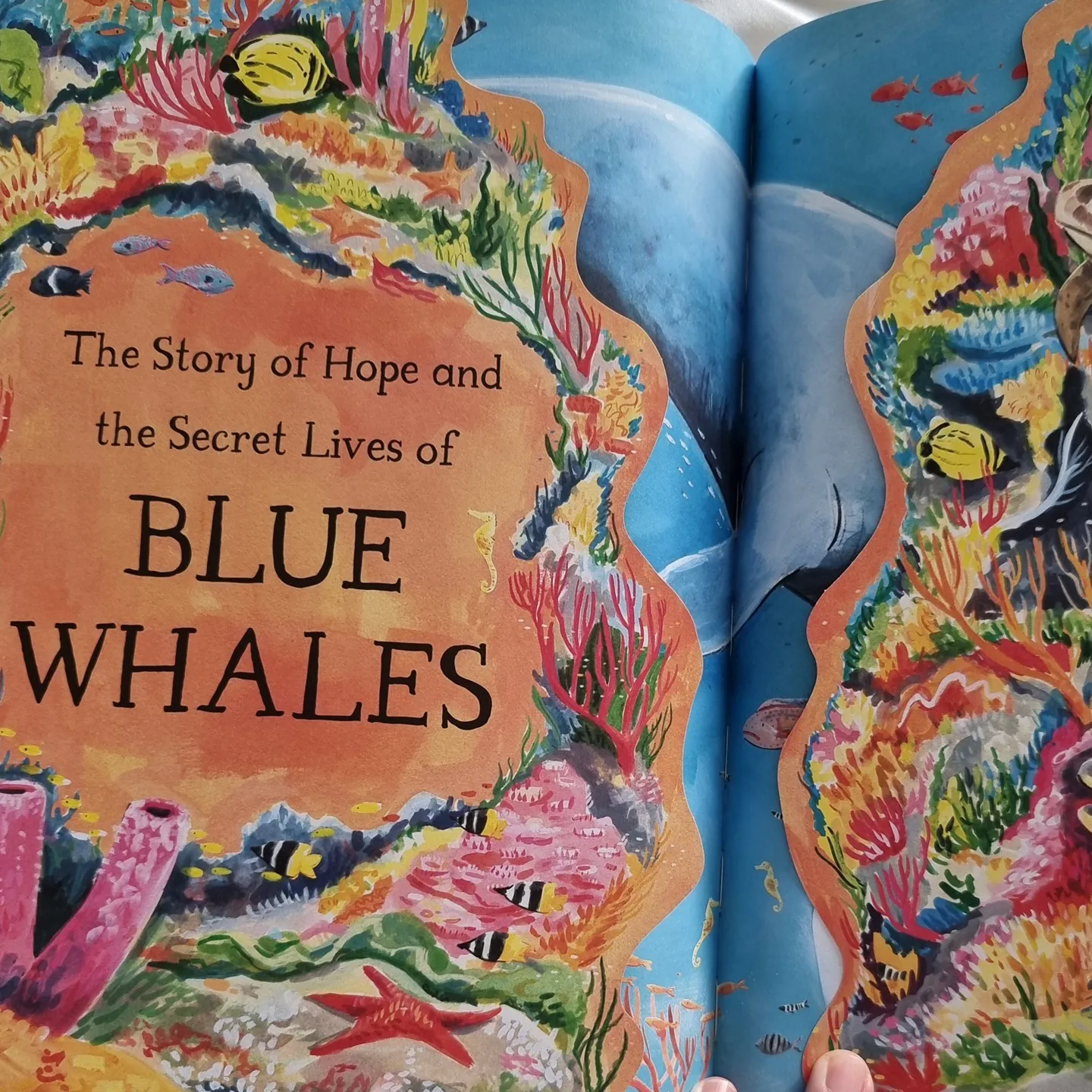 Hope the Whale: In Association with the Natural History Museum : Books ...