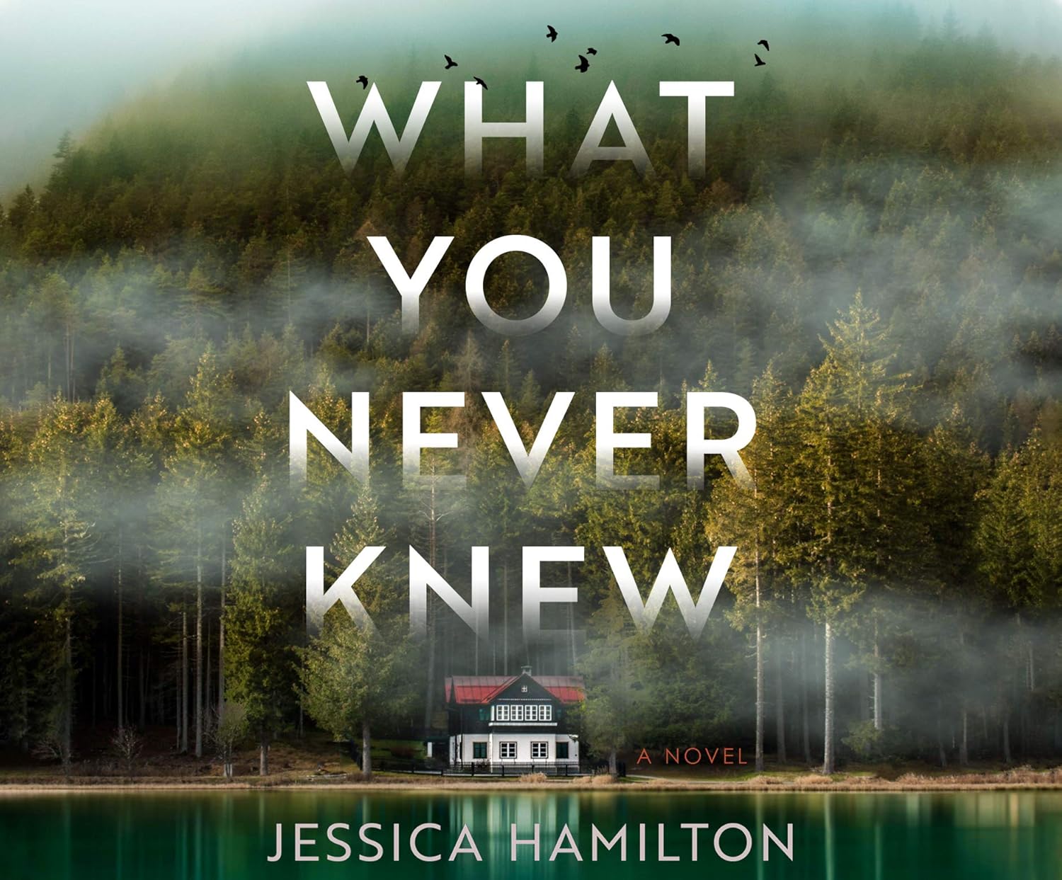 Buy What You Never Knew Book Online at Low Prices in India | What You ...