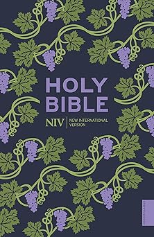 NIV Holy Bible (Hodder Classics) (New International Version): Amazon.co ...