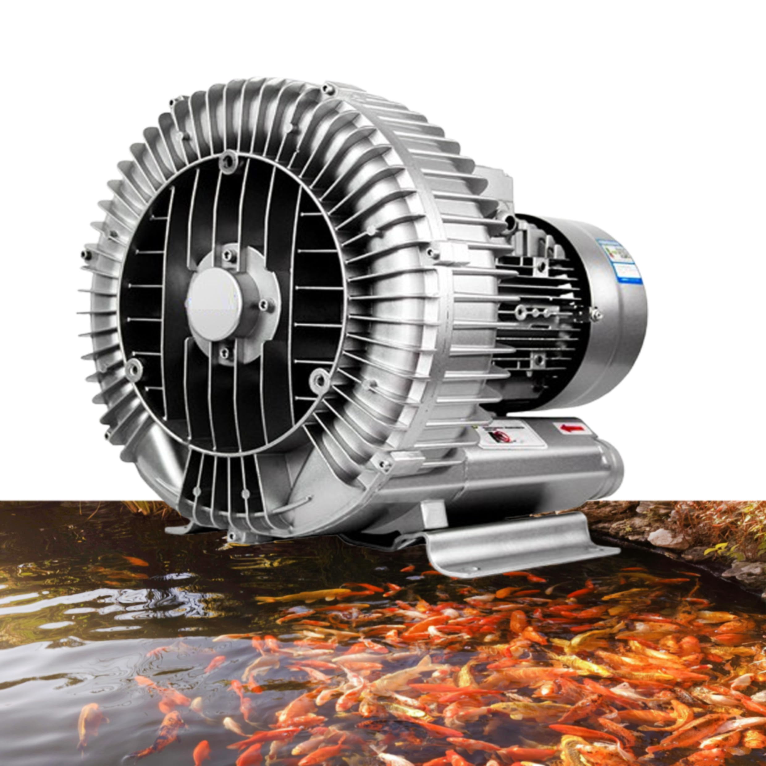 Amazon.com: Regenerative Blower, Single Phase High-Pressure Vortex Ring ...