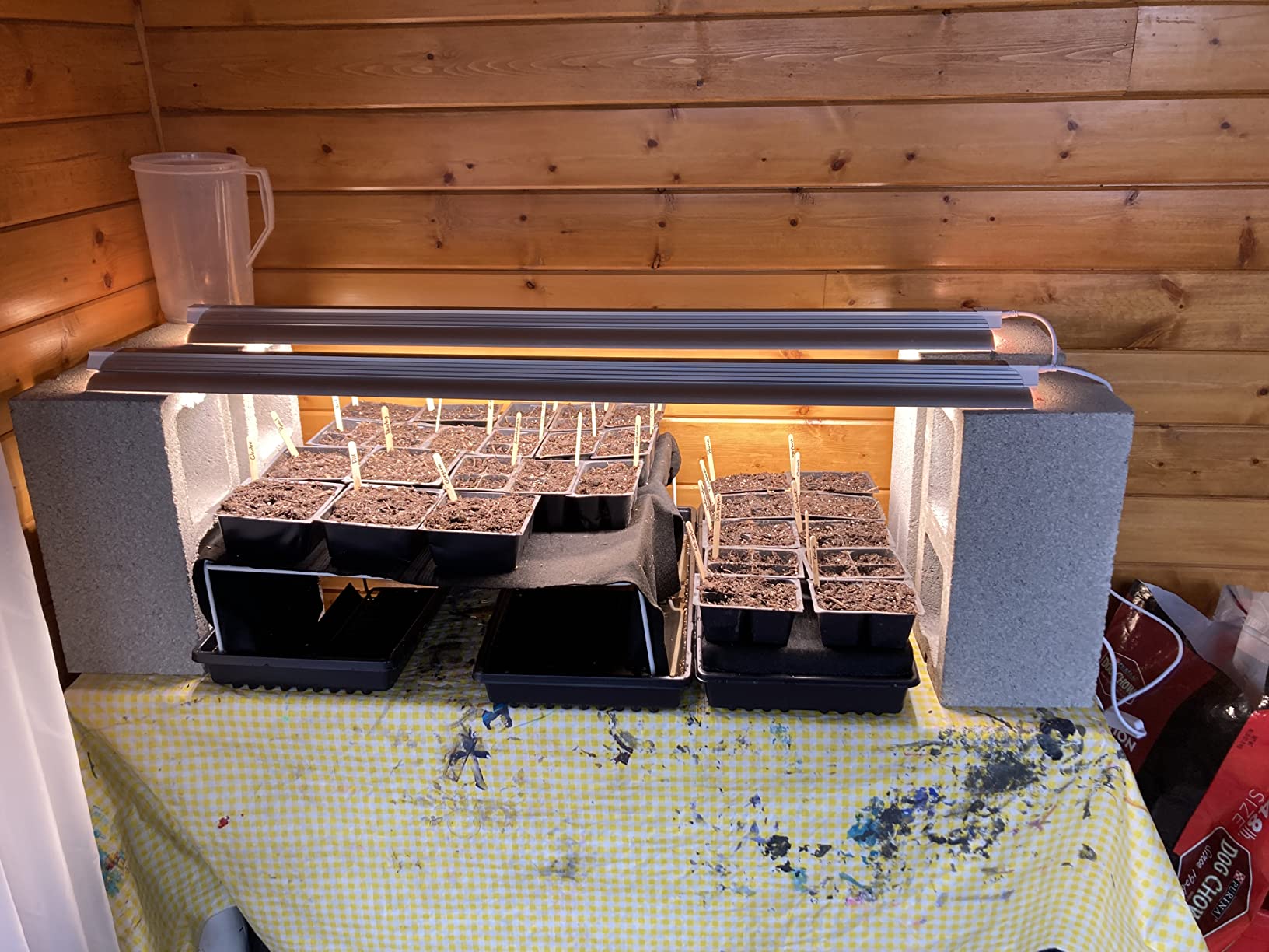 Amazon.com : Automatic Plant Watering Mat, Self Watering Capillary Mat ...