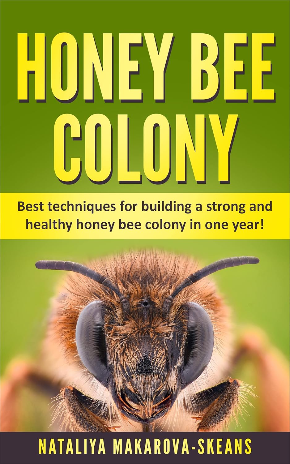 Amazon.com: Honey Bee Colony: Best Techniques for Building a Strong and ...