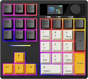 Amazon.com: FKZ X BOYI TD31Pro Mechanical Numpad,Hot Swap Number Pad ...